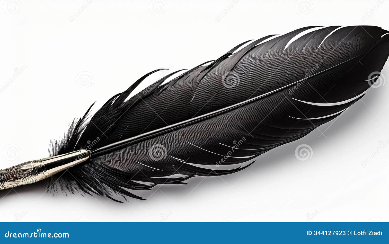 Black Quill Pen Isolate on White Background PNG Stock Illustration ...