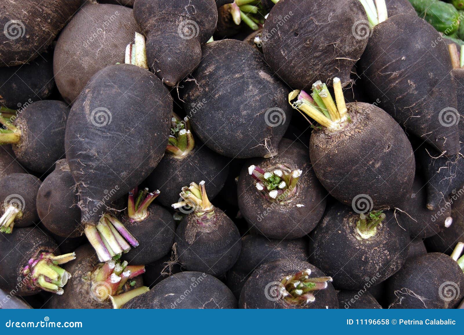 Black raddish stock photo. Image of vegetable, market - 11196658