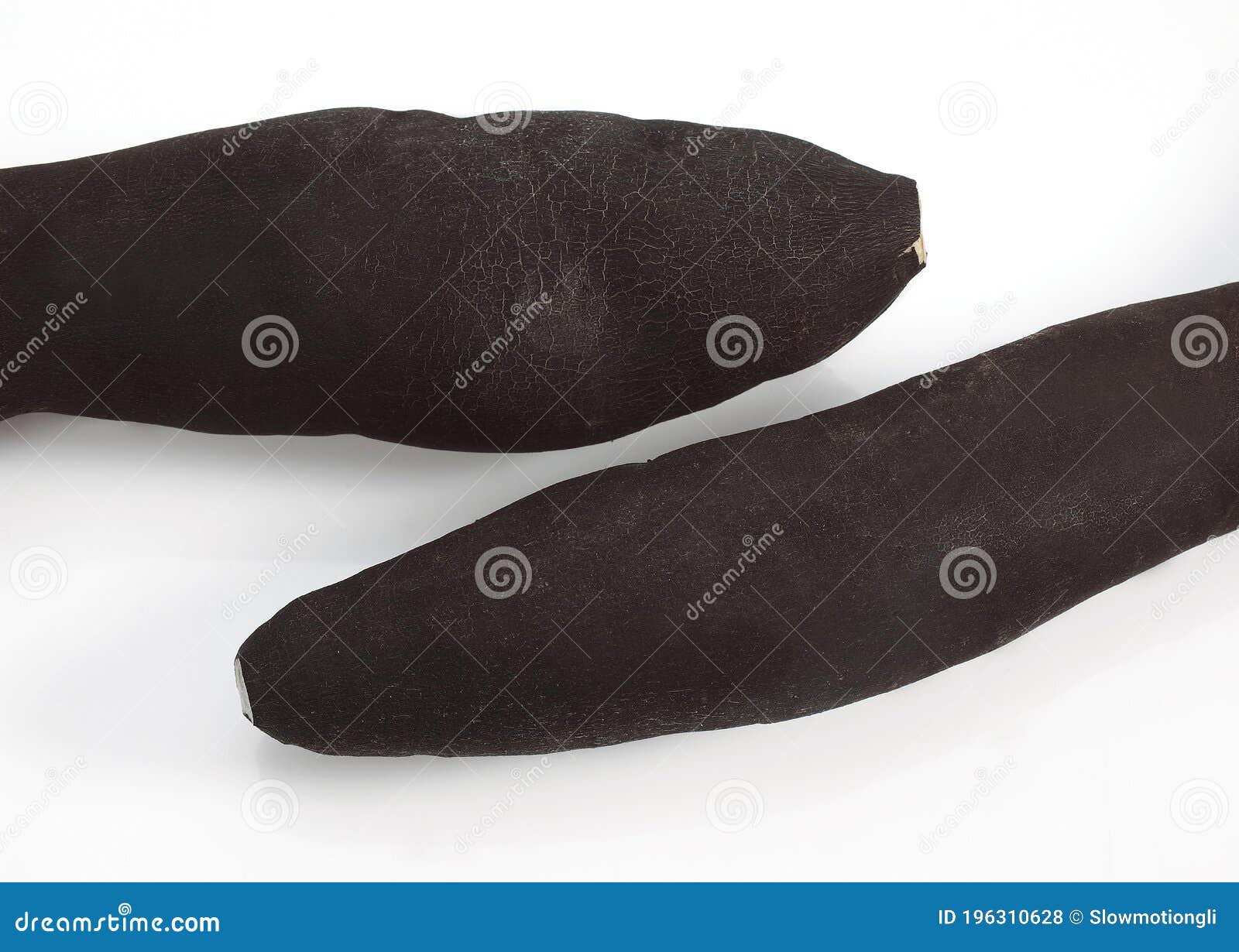 Black Radish, Raphanus Sativus Niger, Against White Background Stock ...