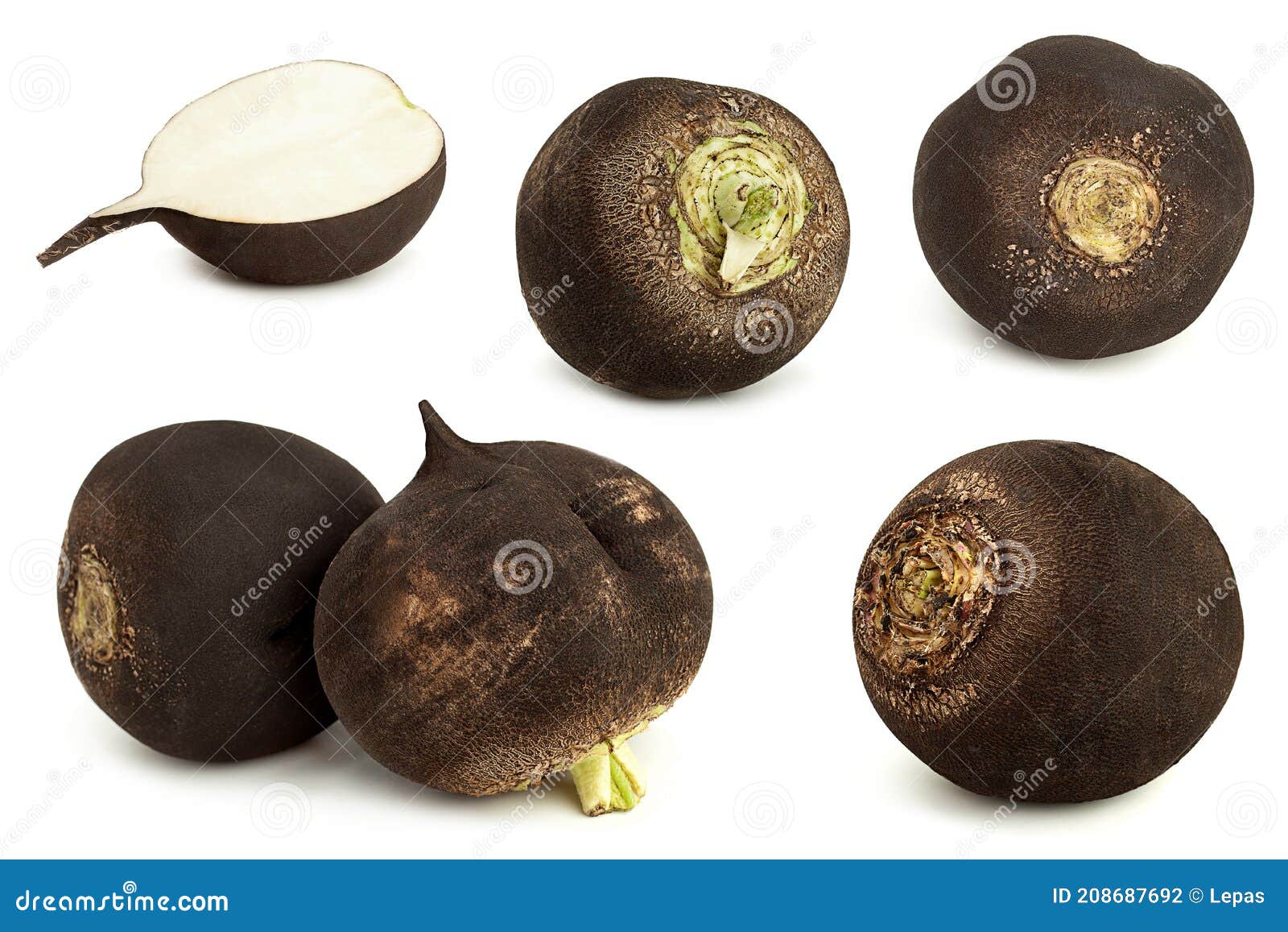 Black Radish Vegetable Root Collection Stock Photo - Image of food ...