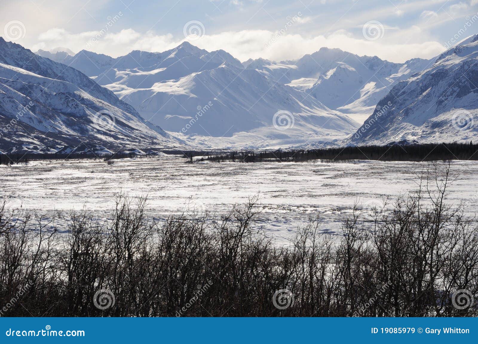 Black Rapids Glacier in the Alaska Range Stock Image - Image of isabel ...