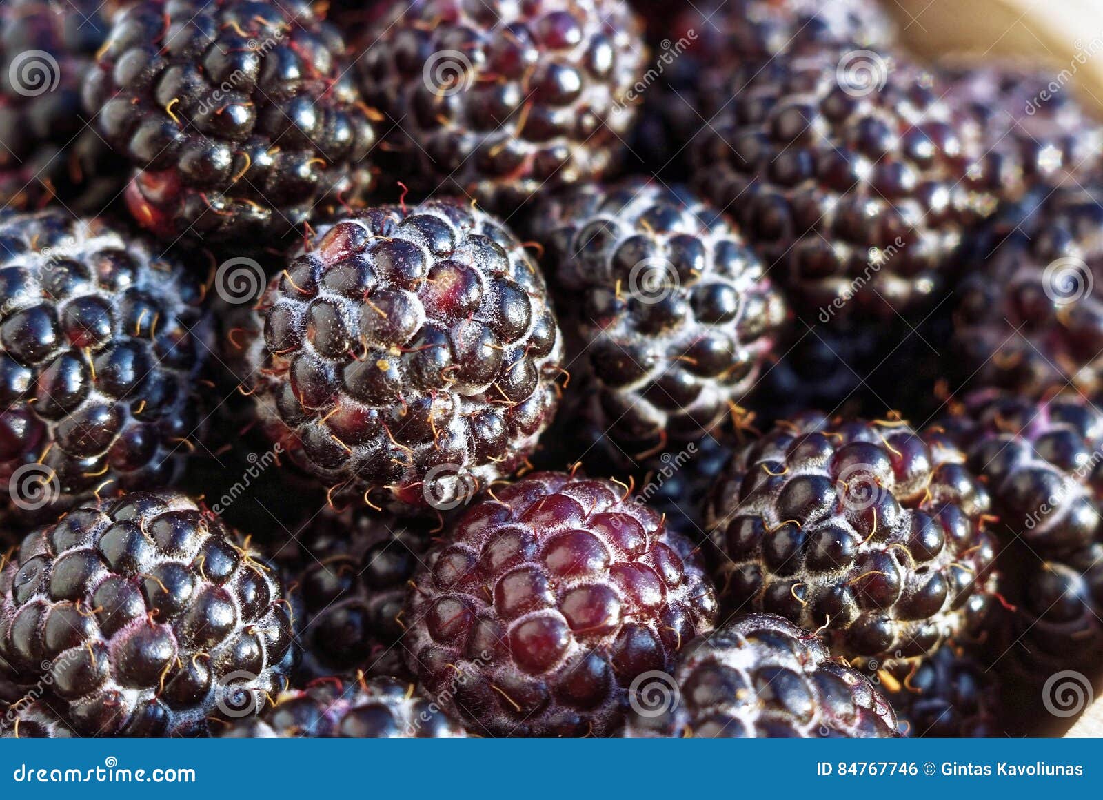 Black raspberries stock photo. Image of vegetarian, fresh - 84767746