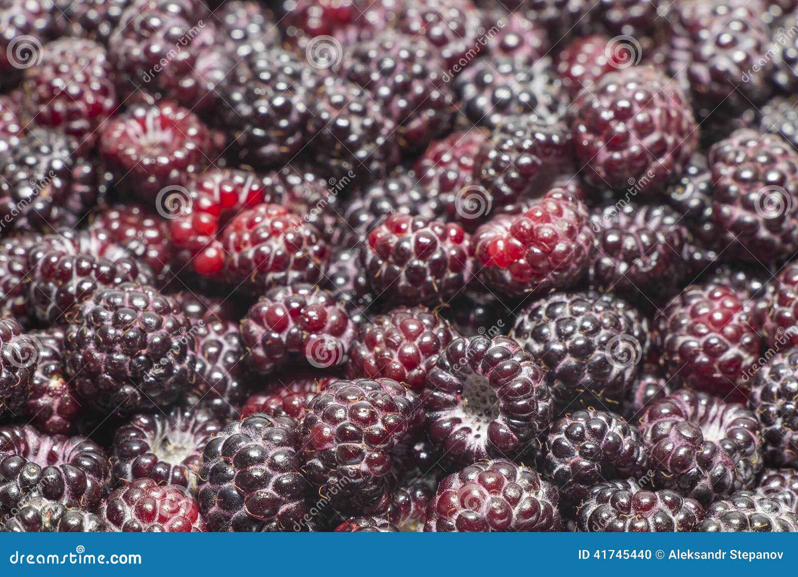Black Raspberries Closeup Background Stock Photo - Image of ingredient ...
