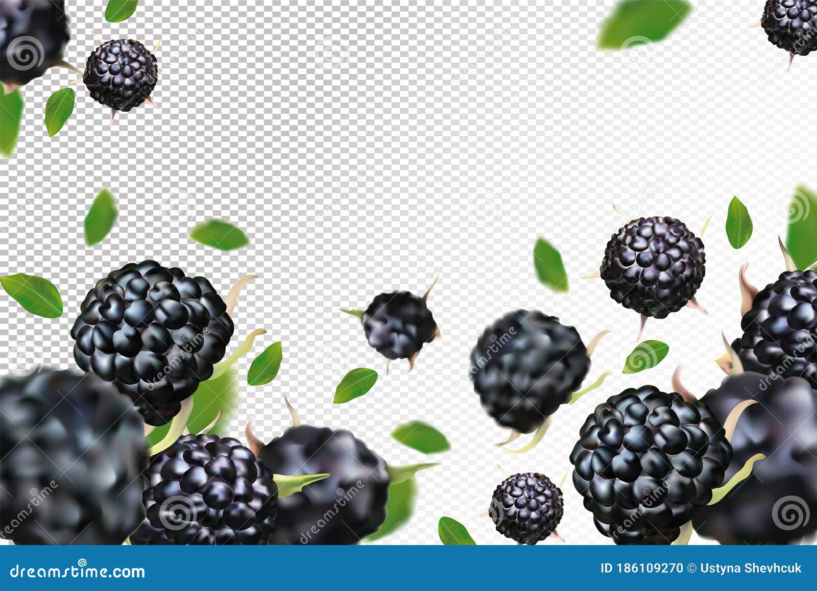 Black Raspberry Background. Flying Black Raspberry with Green Leaf on ...