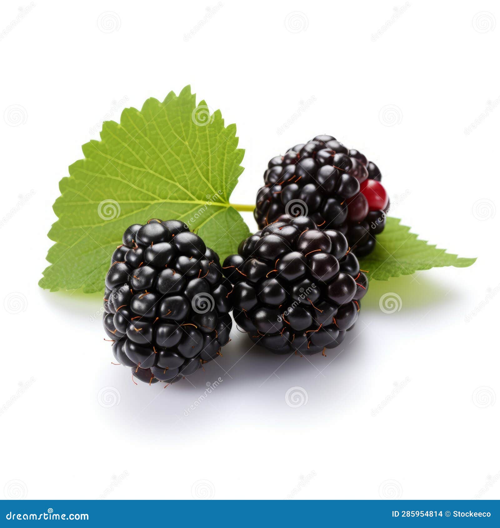 Black Raspberry with Leaf: a Creative Commons Attribution Photo Stock ...