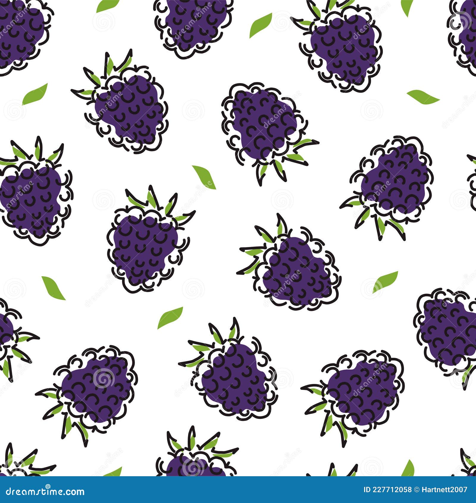 Black Raspberry Seamless Pattern on a White Background. Hand-drawn ...