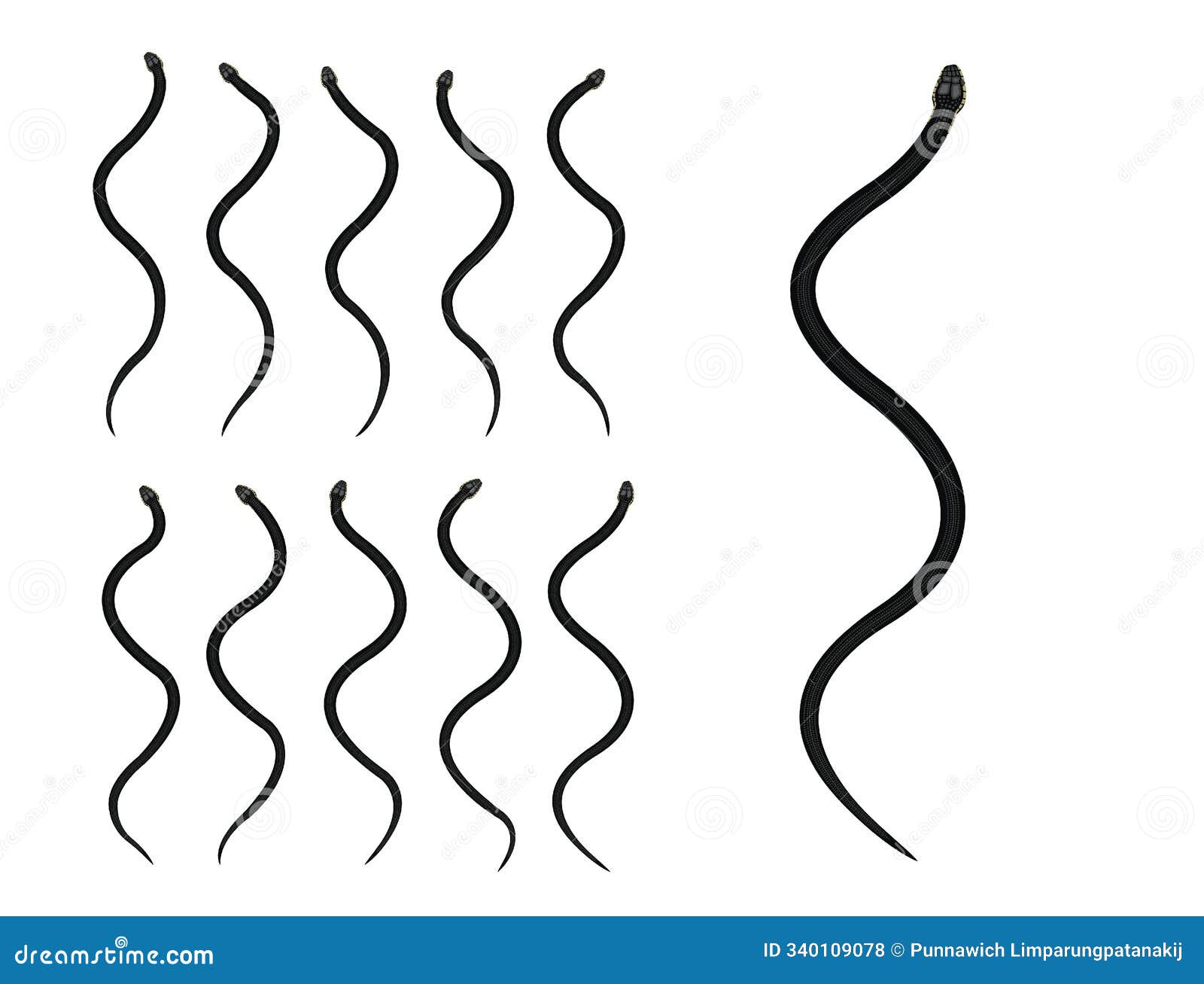 Black Rat Snake Animal Animation Sequence Cartoon Vector Stock ...