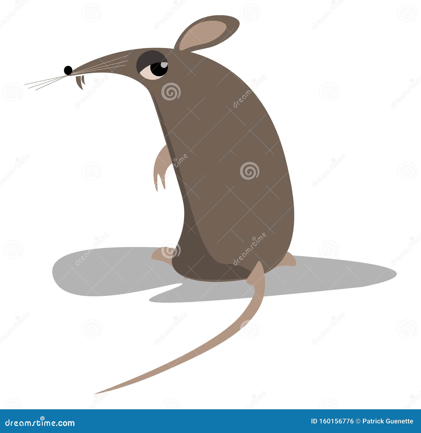 A Black Rat Vector or Color Illustration Stock Vector - Illustration of ...