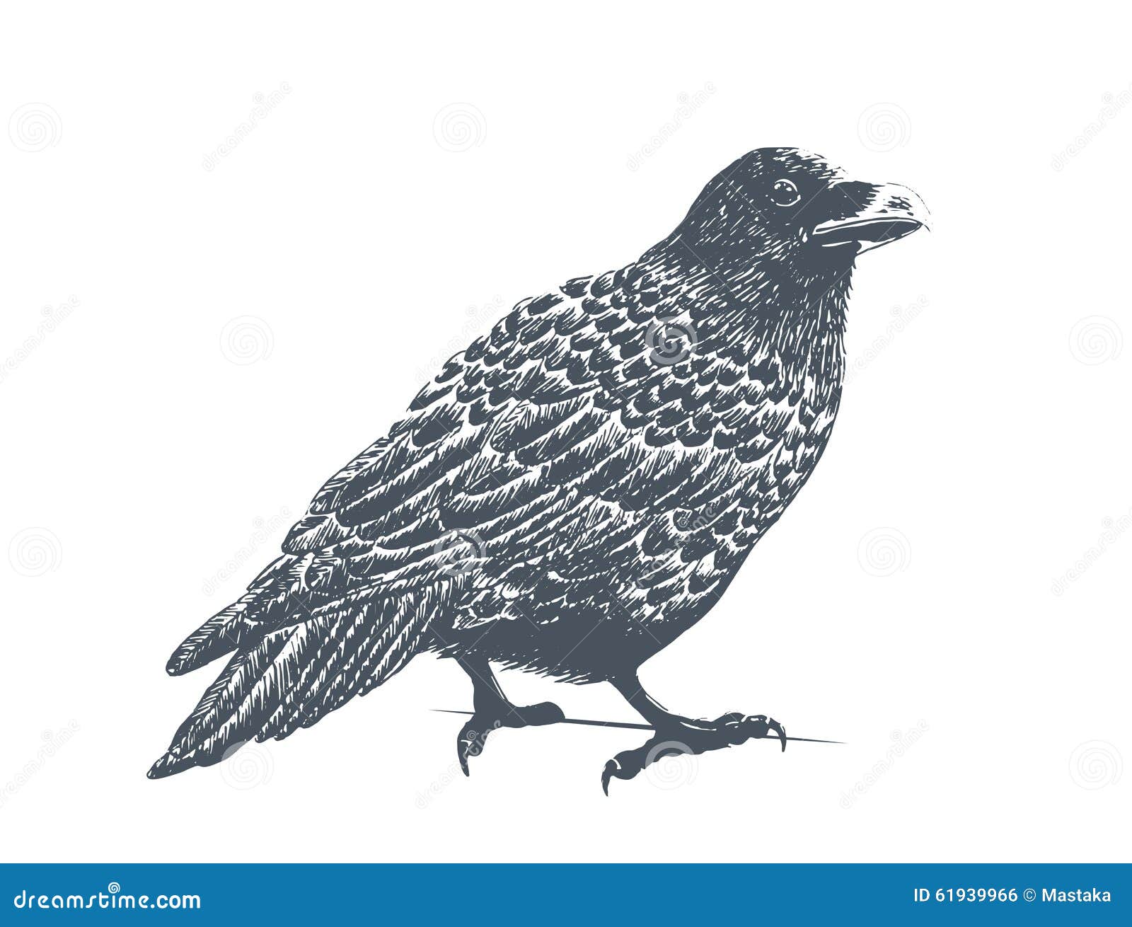 Black Raven Engraving Illustration Stock Vector - Illustration of hand ...