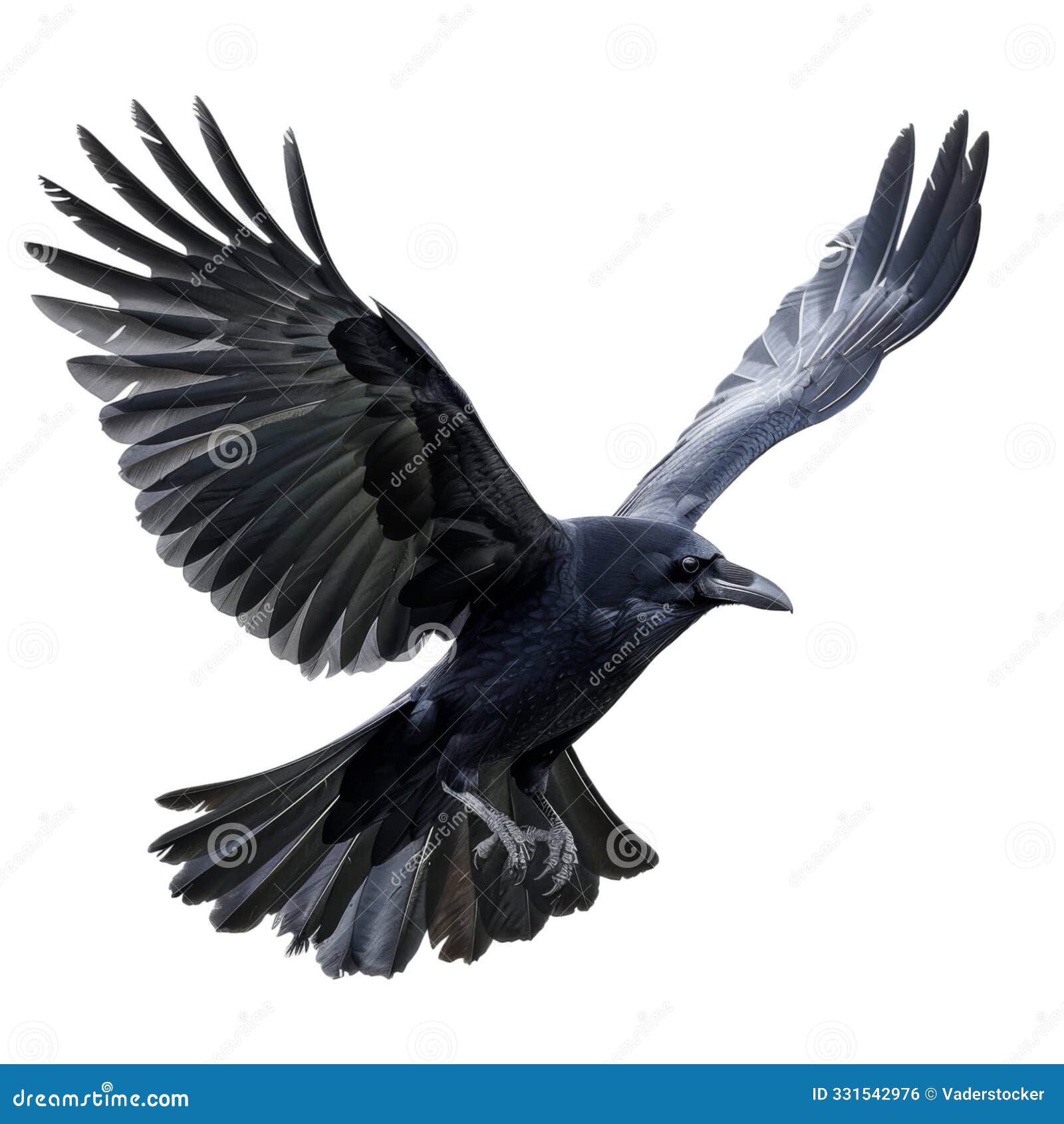 Black Raven in Flight with Spread Wings Stock Illustration ...