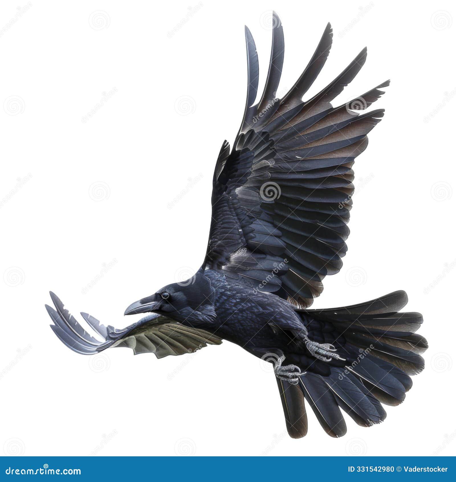 Black Raven in Flight with Spread Wings Stock Illustration ...