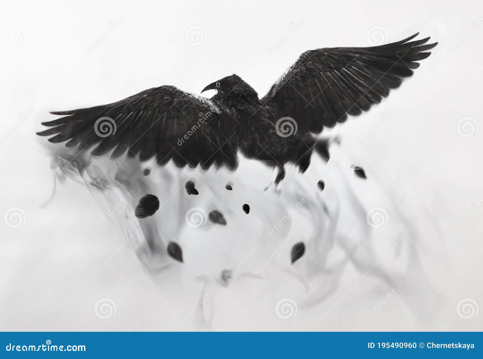 Black Raven Flying through Mist Stock Photo - Image of beautiful ...