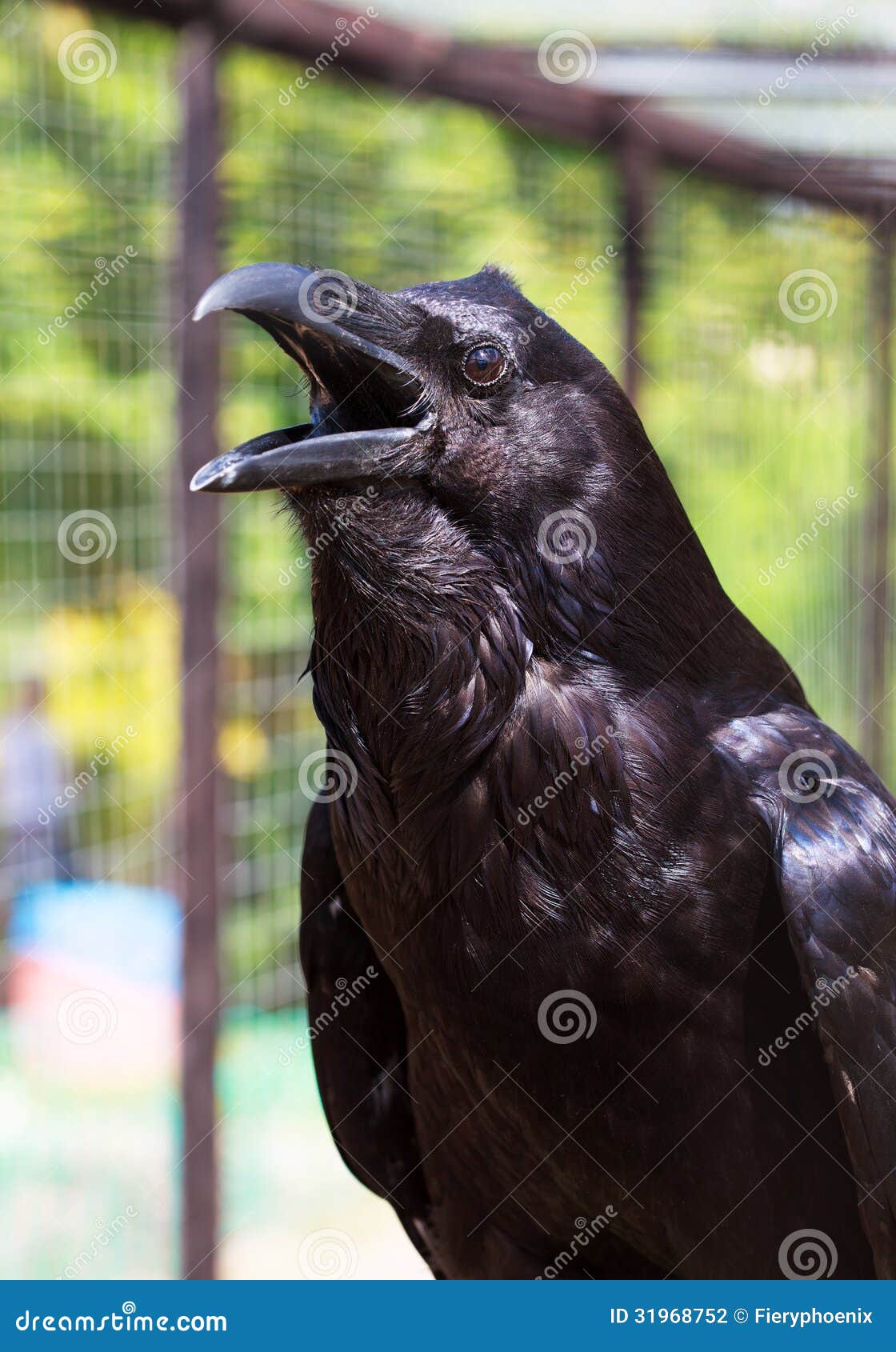 Black raven stock photo. Image of britain, landmark, black - 31968752