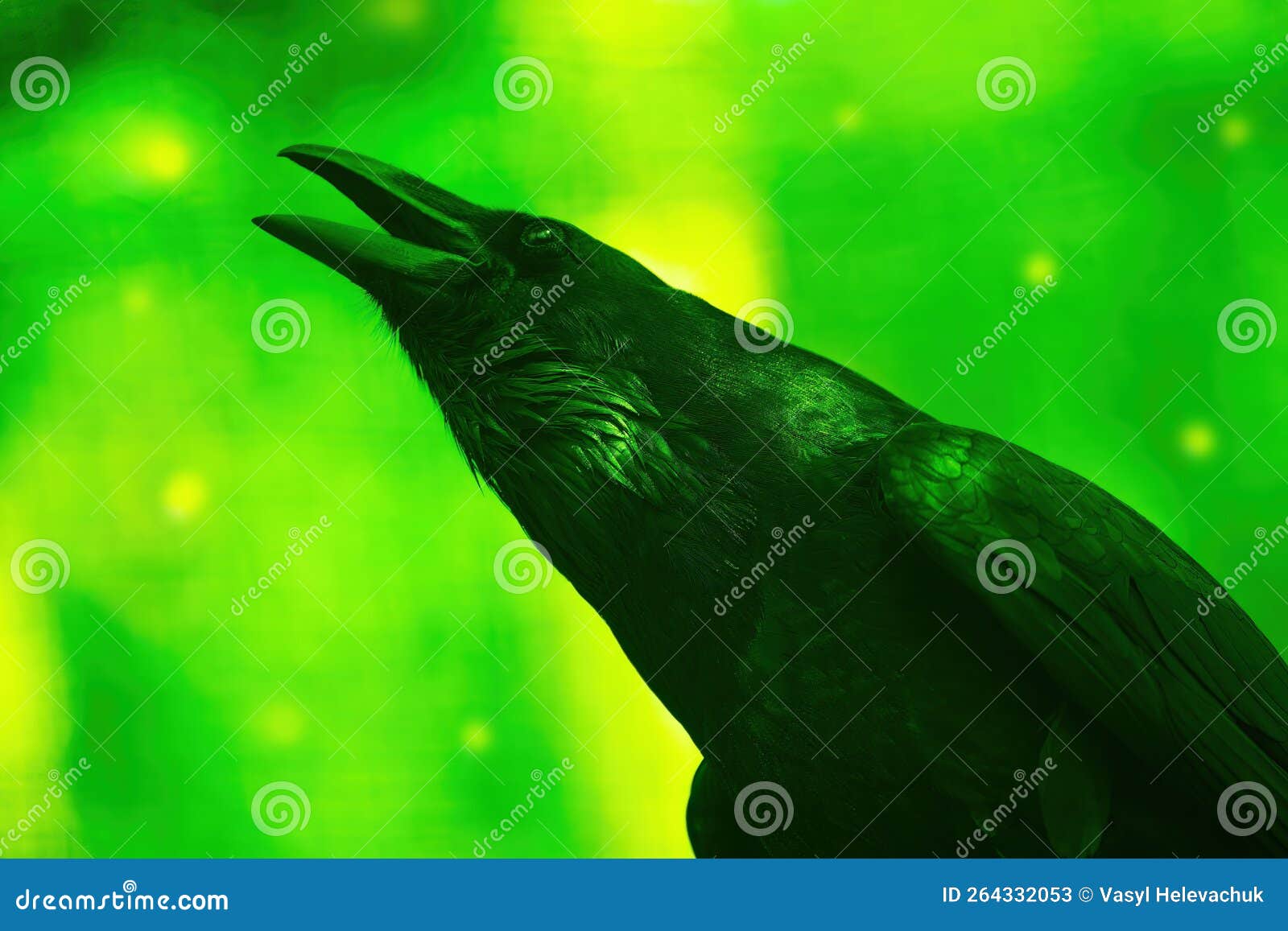 Raven Screams Stock Photos - Free & Royalty-Free Stock Photos from ...