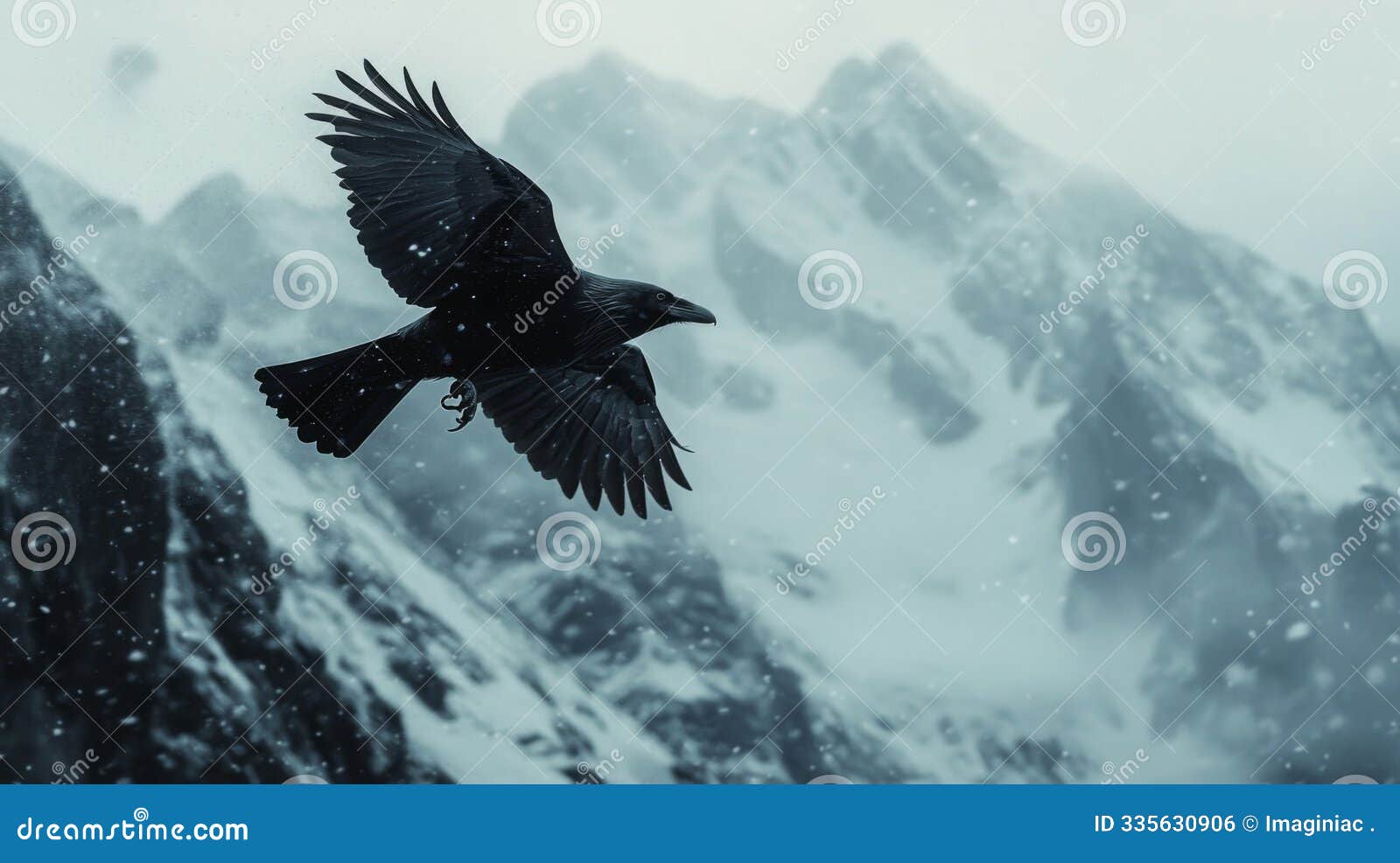 A Black Raven Soaring through a Snowy Mountain Range Stock Illustration ...