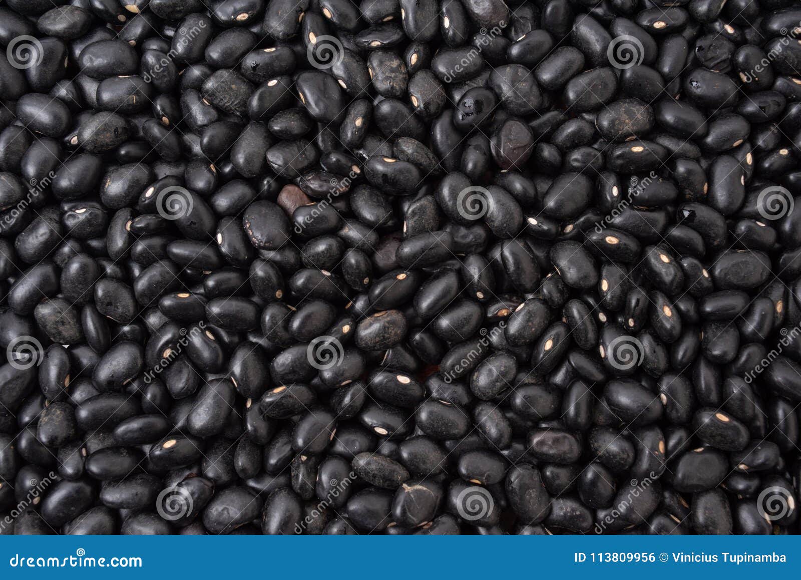 Black raw beans stock photo. Image of feijoada, ingredients - 113809956