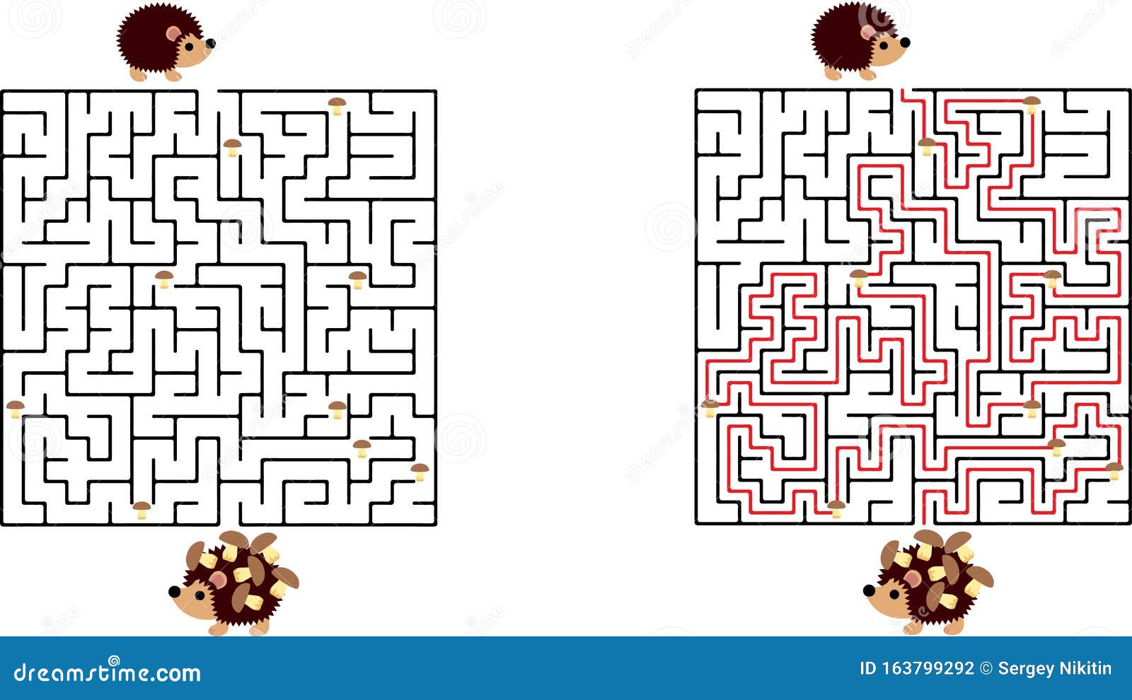 Black Rectangular Labyrinth with an Input and an Exit. an Interesting and Useful Game Stock ...