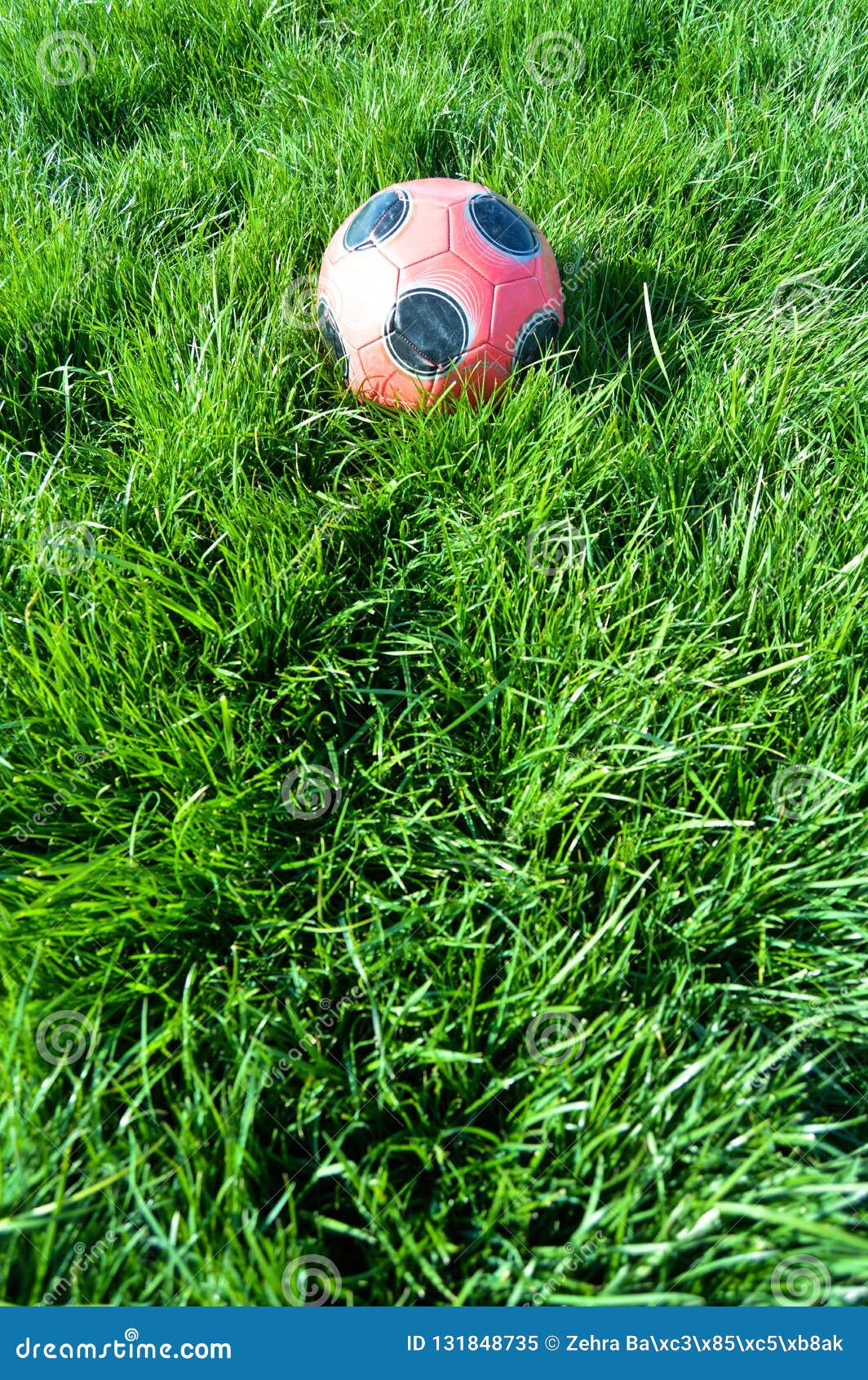 Soccer ball on the grass stock image. Image of football - 131848735