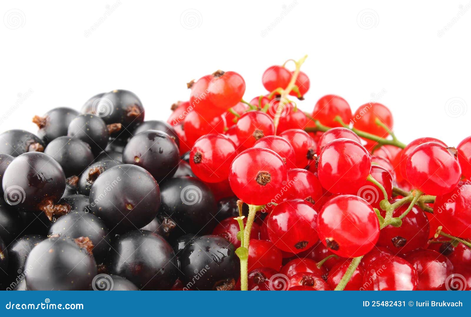 Black and red currant stock image. Image of meal, tasty - 25482431