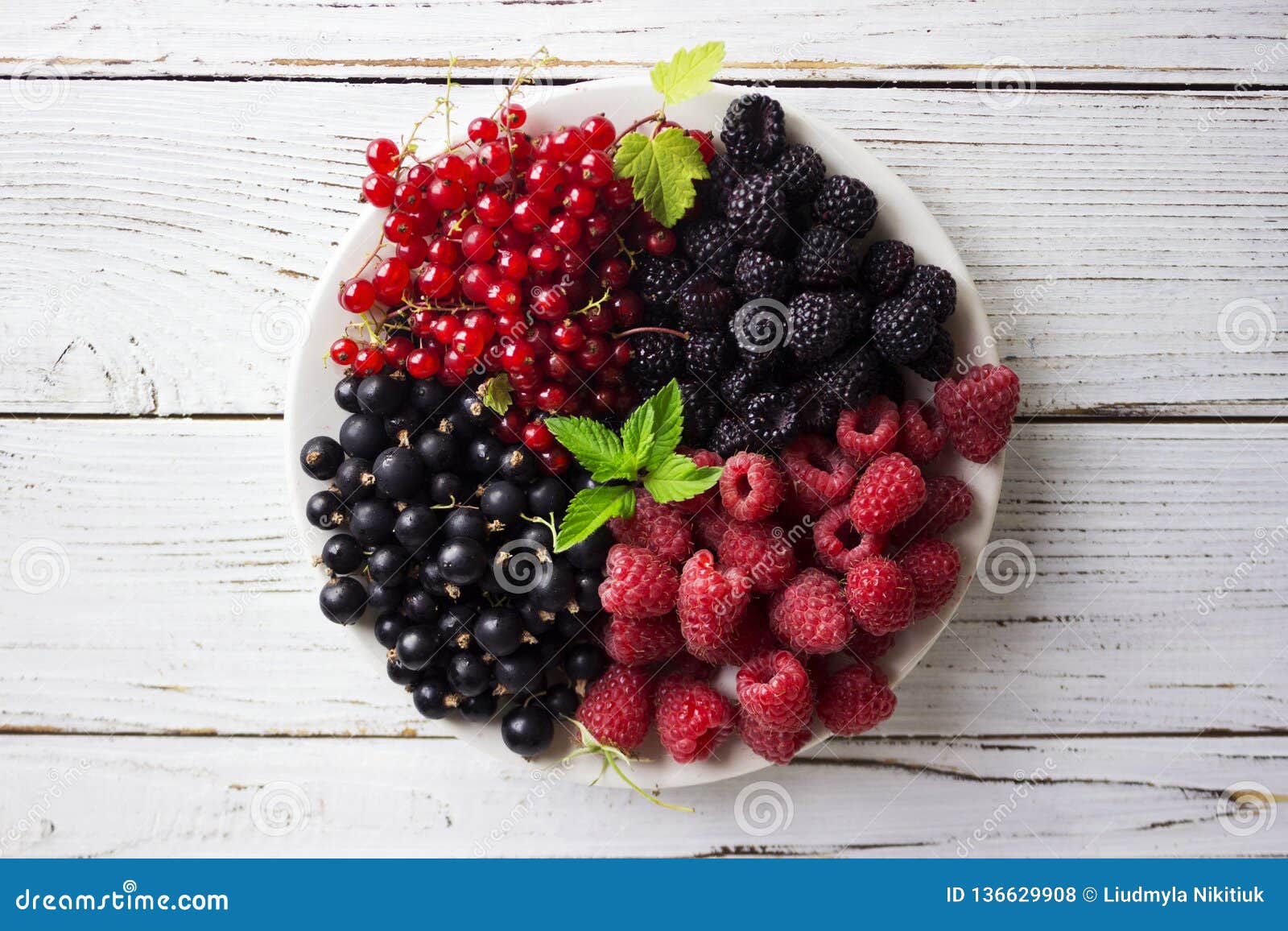 Black and Red Currants, Black and Red Raspberries on a Plate with a ...