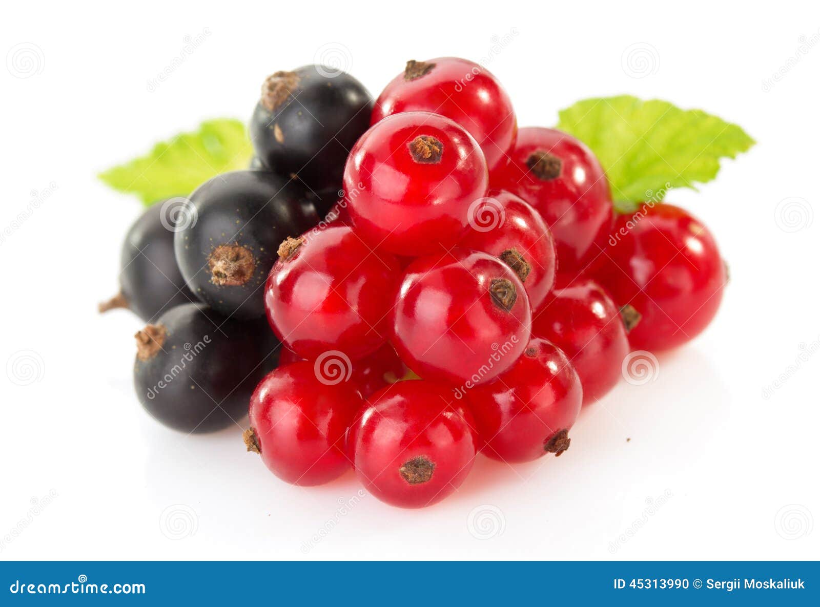 Black and Red Currants on White Stock Photo - Image of closeup, life ...
