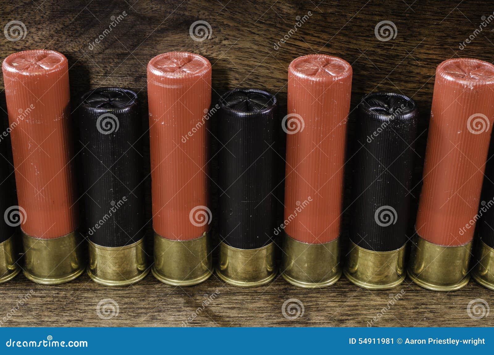 Black and Red 12-Gauge Shotgun Shells Stock Image - Image of shotgun ...