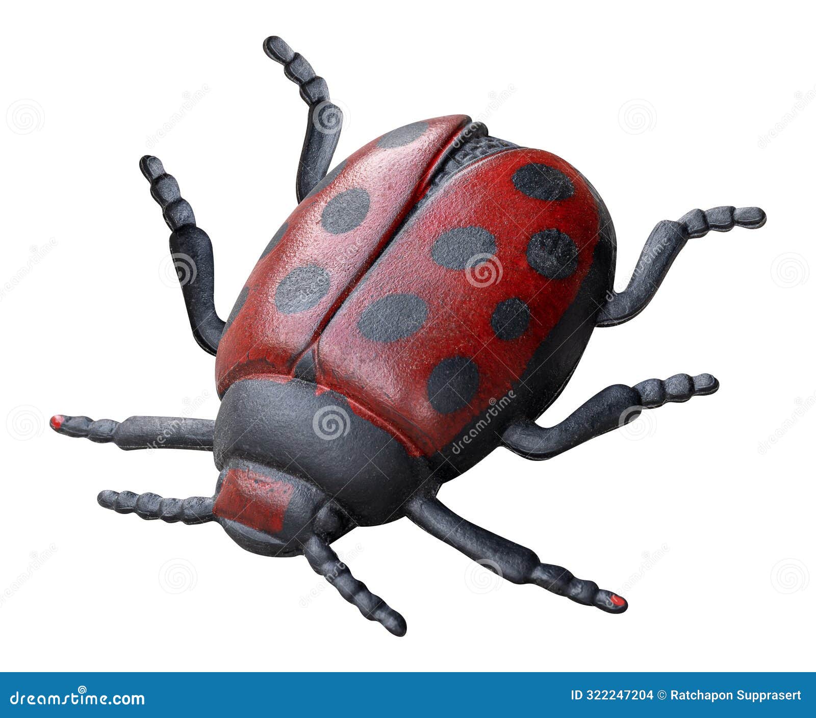 Black Red Ladybug Isolated on White Background with Clipping Path Stock ...