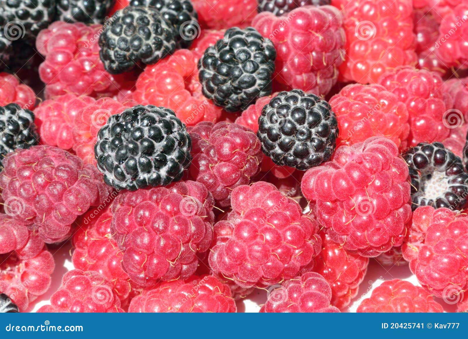 Black and red raspberries stock image. Image of extraordinary - 20425741