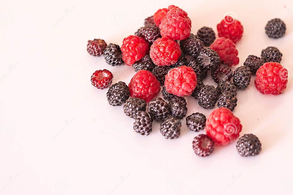 Black and Red Raspberry Composition on a White Background Stock Photo ...