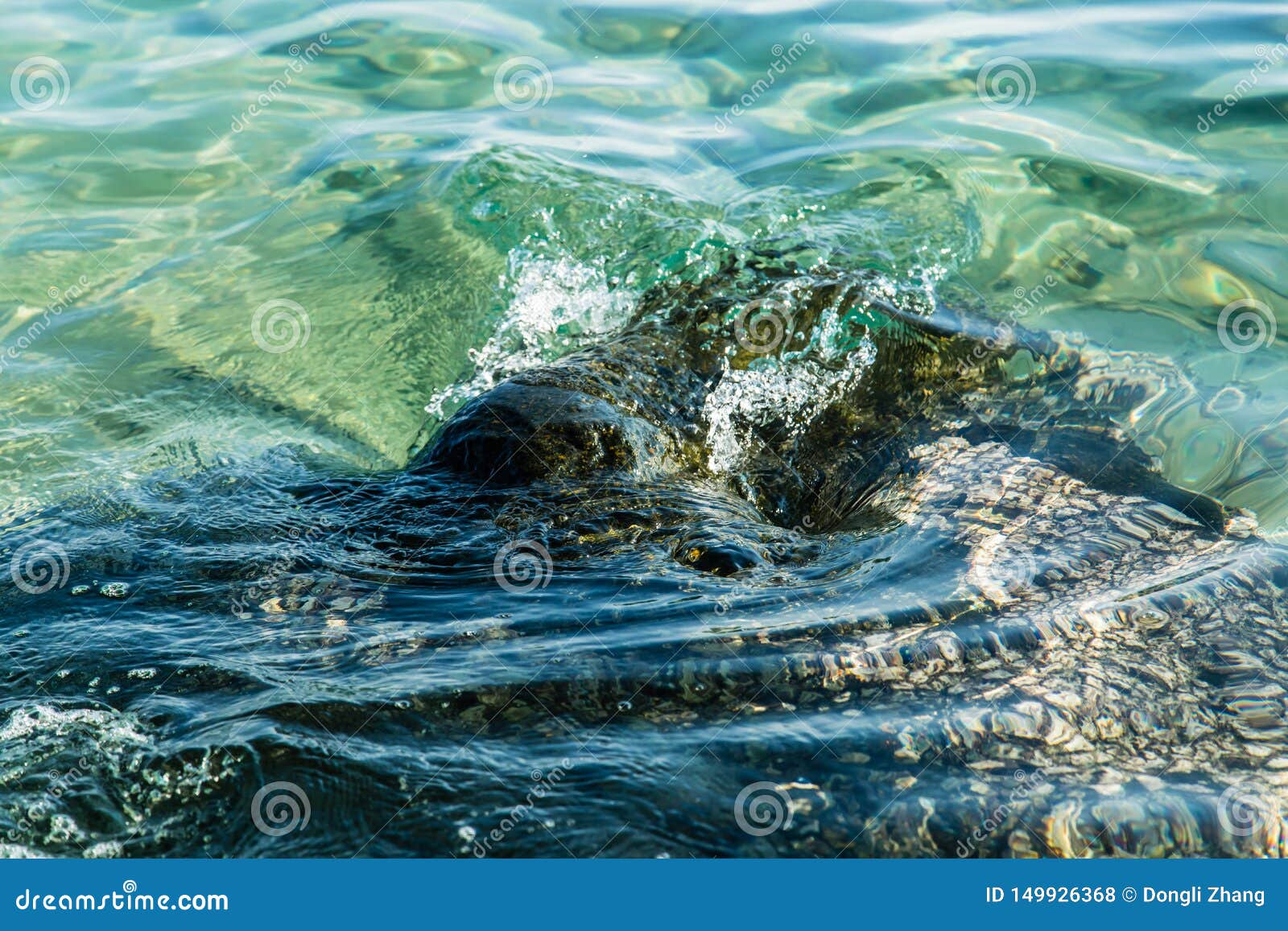 Black Reef in the Clear Blue Sea Water Stock Photo - Image of nature ...