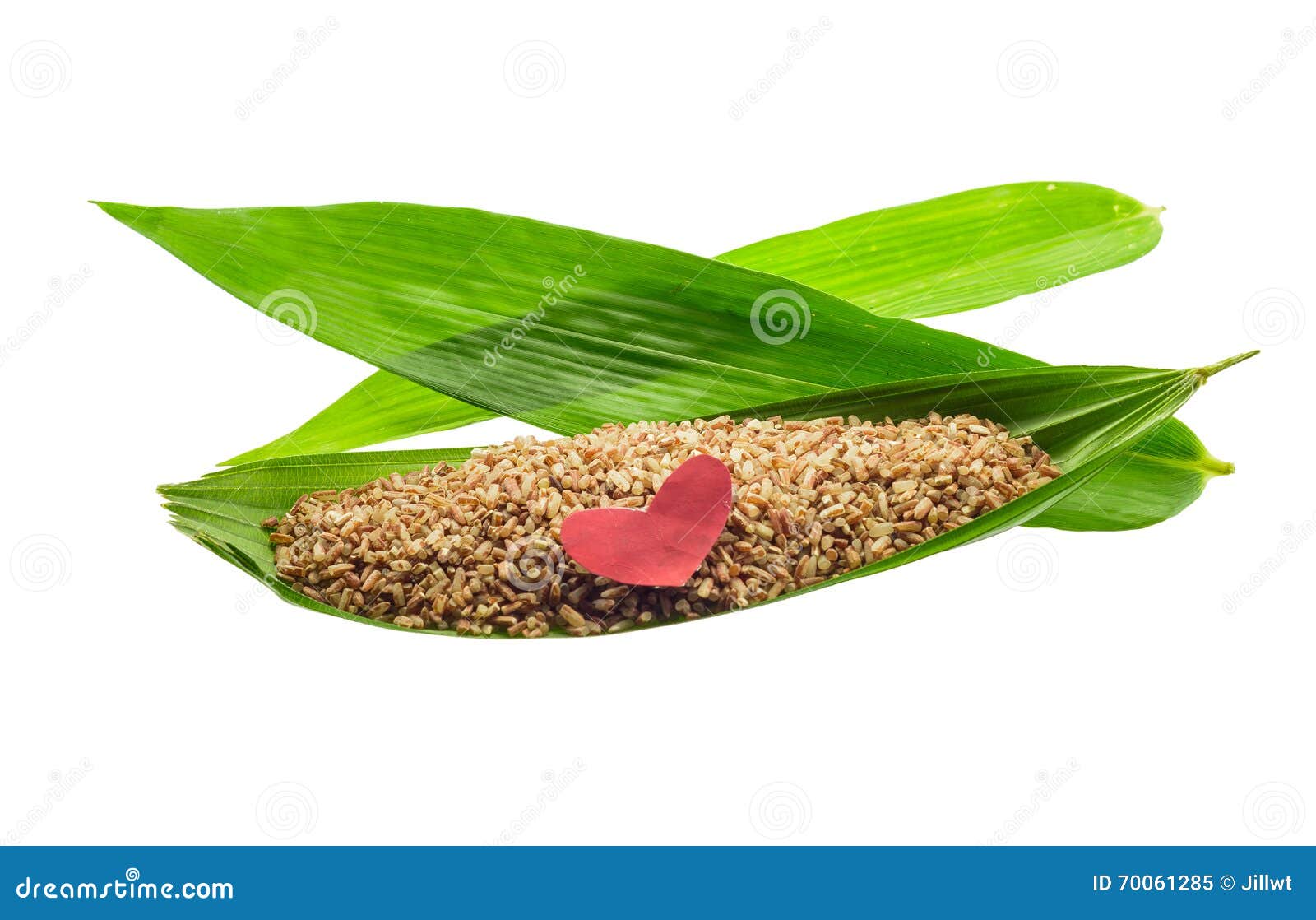 Black rice stock image. Image of farmer, green, natural - 70061285