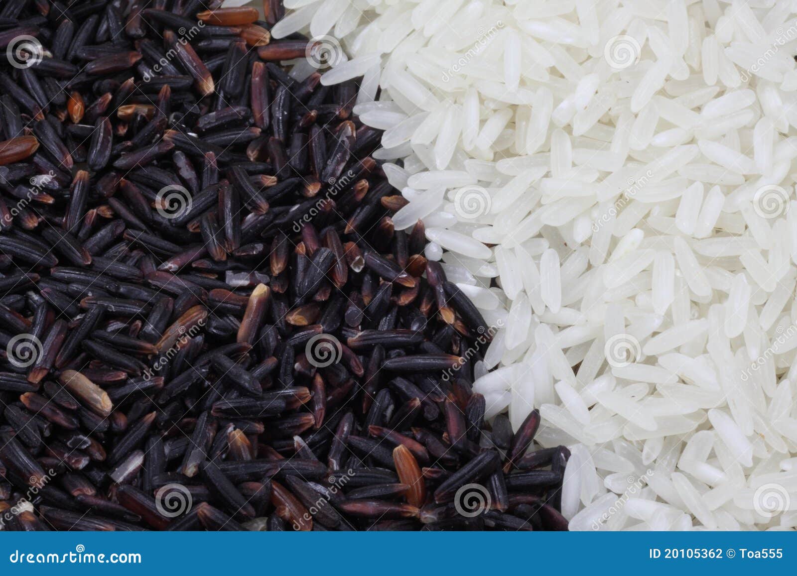 Black rice grain stock photo. Image of long, closeup - 20105362