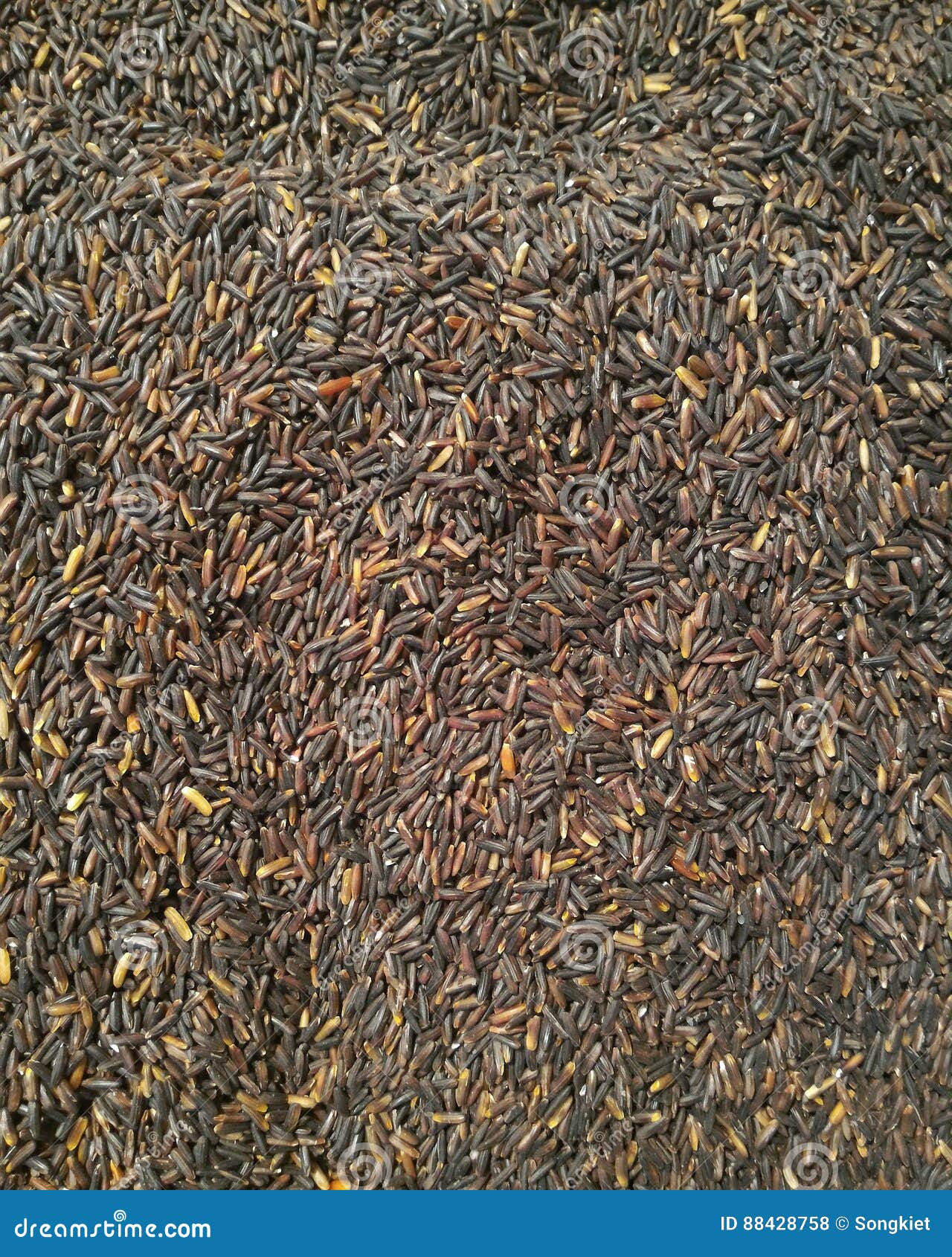 Black Rice Grain stock photo. Image of macro, healthy - 88428758