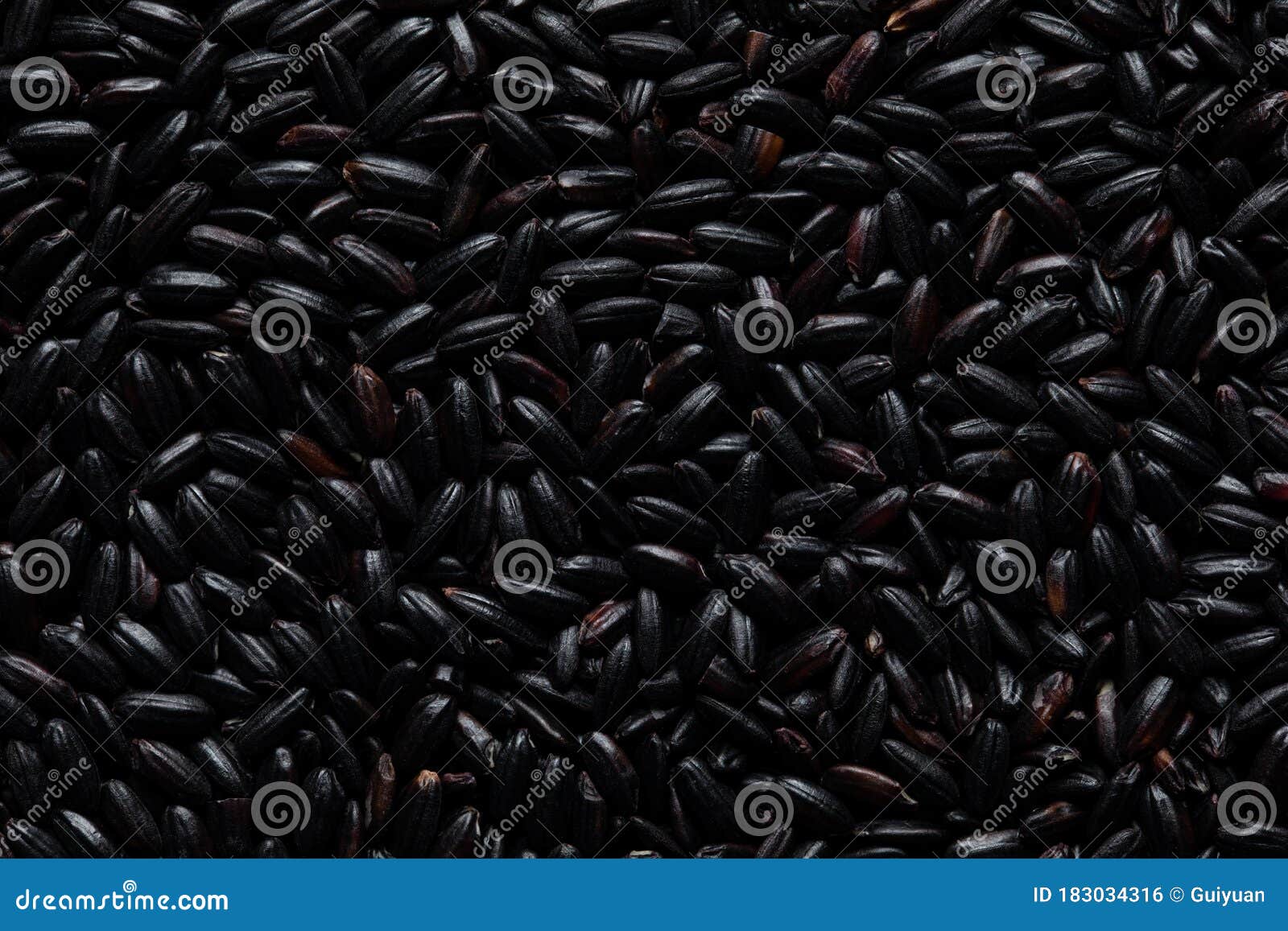 Black Rice Macro Close-up. Ingredients Macro Elements. Stock Photo ...