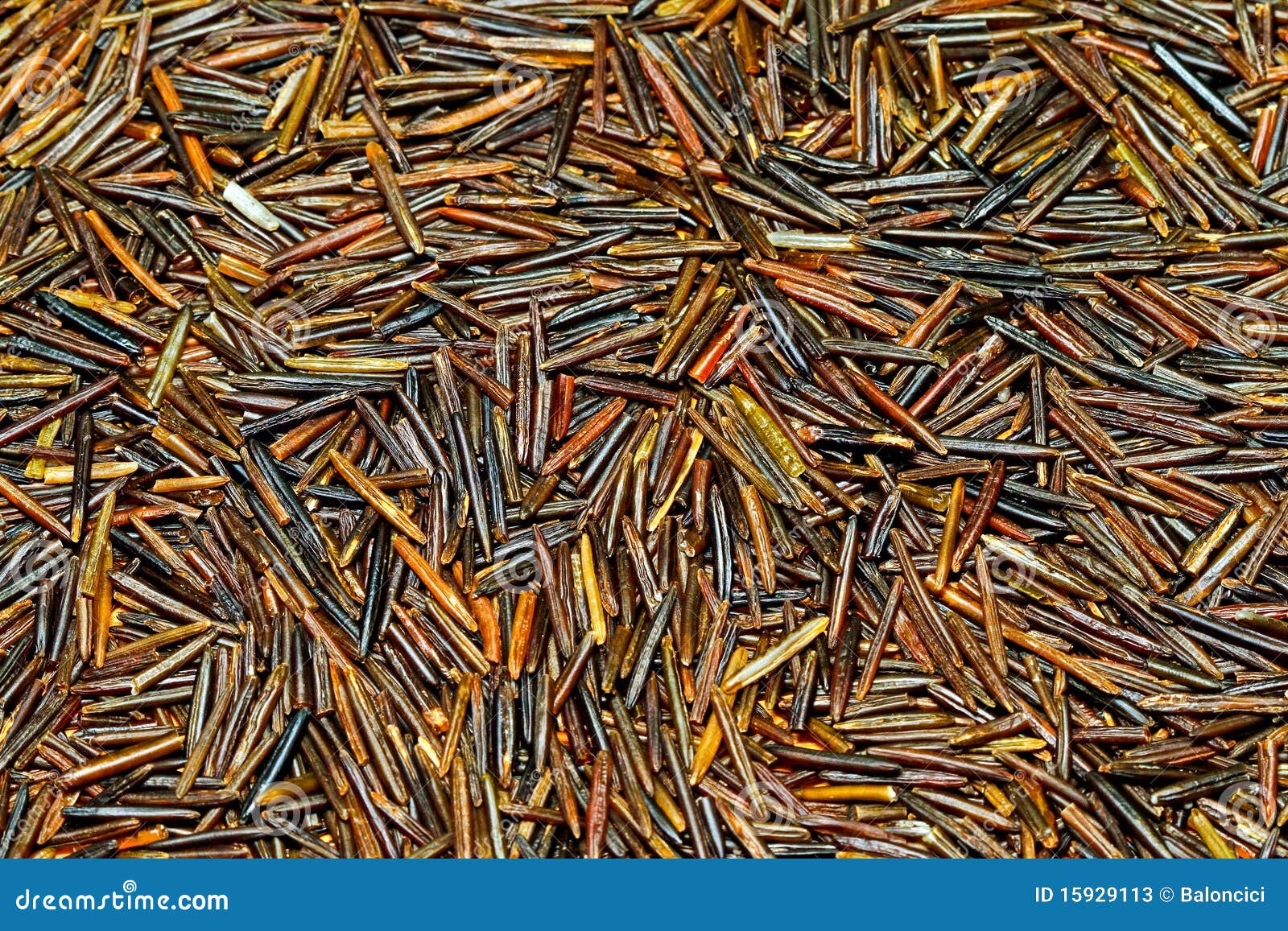 Black rice pattern stock image. Image of asian, grain - 15929113