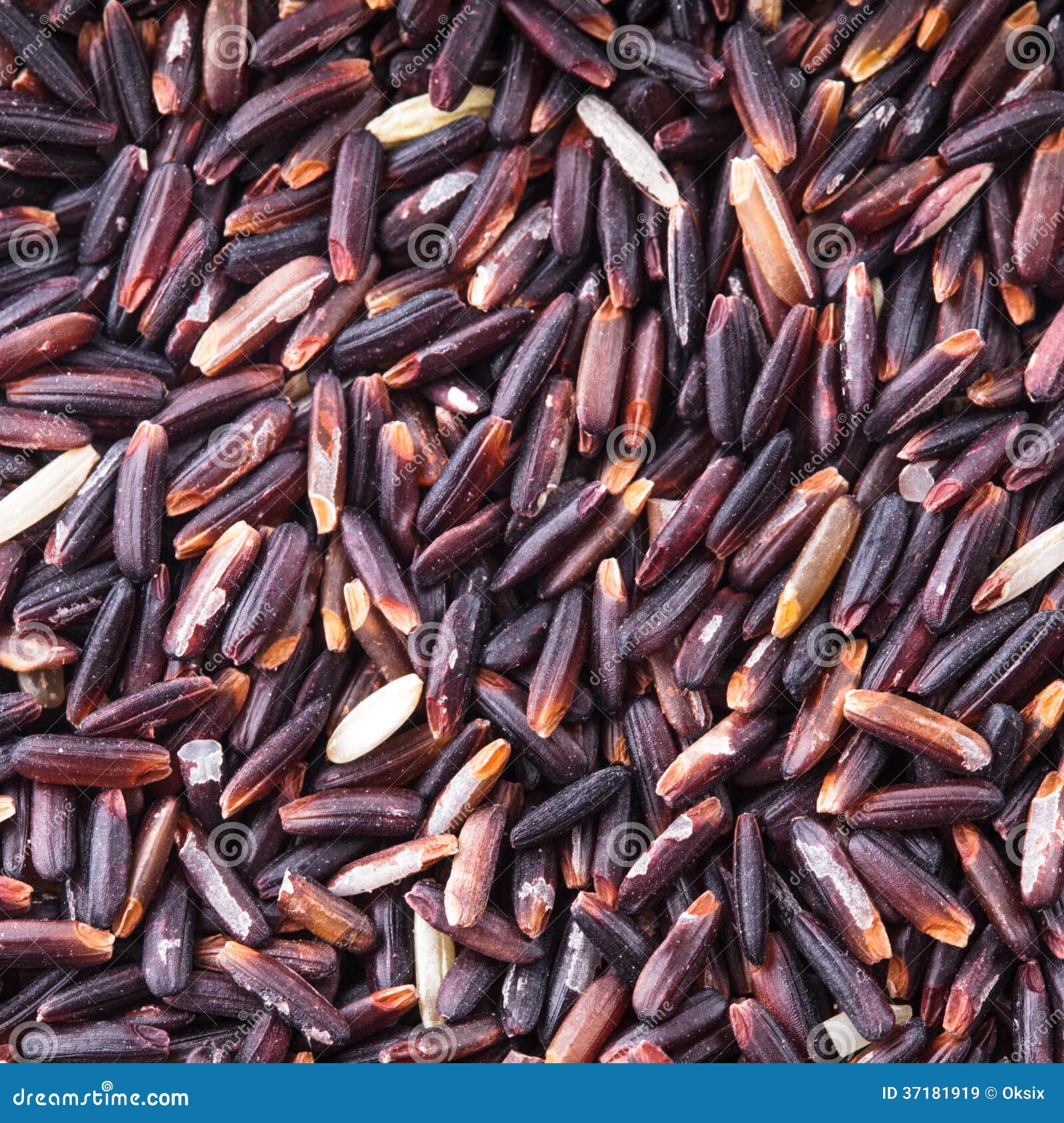 Black rice stock image. Image of macro, closeup, cereal - 37181919
