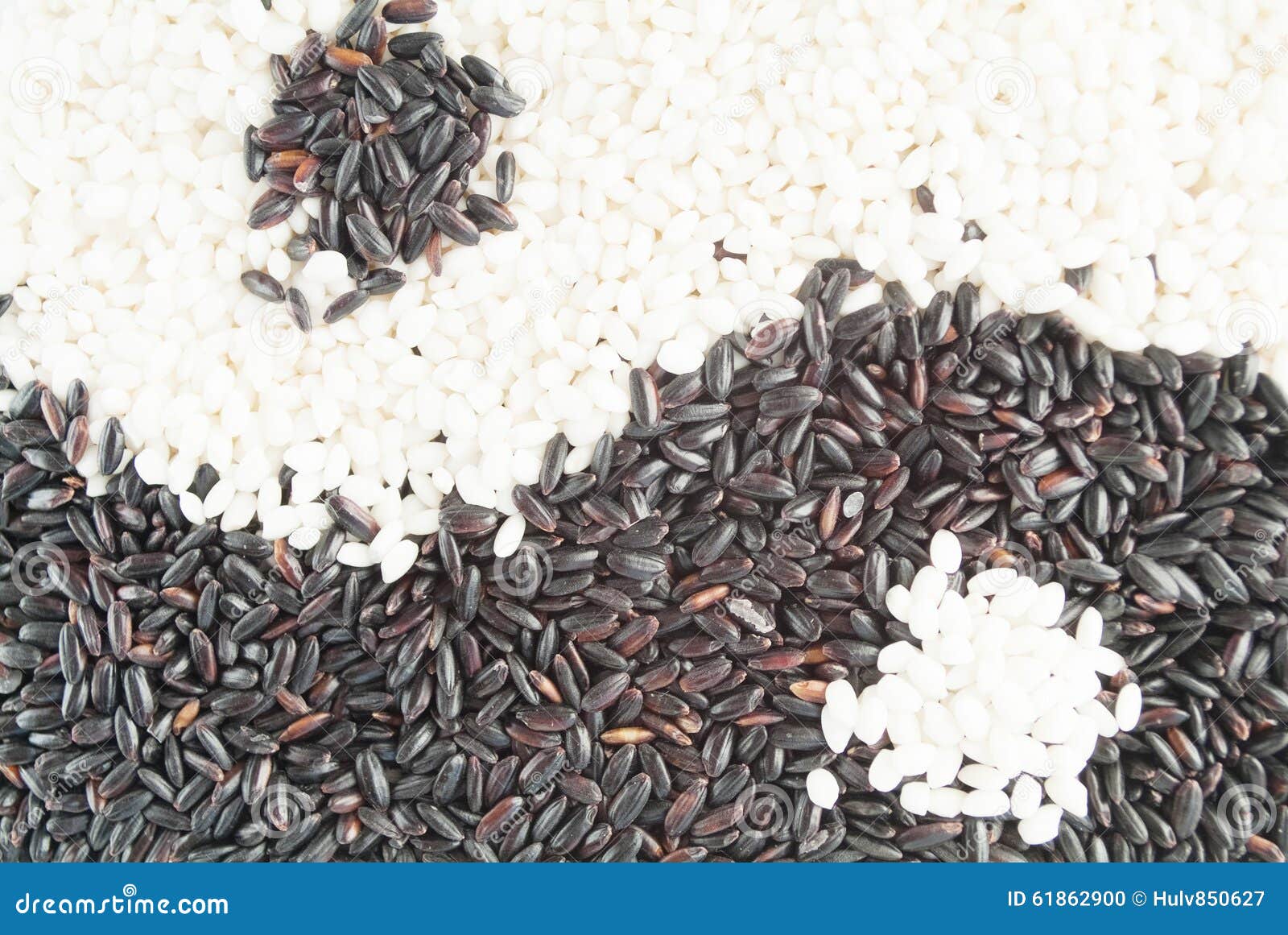 Black rice and white rice stock photo. Image of health - 61862900