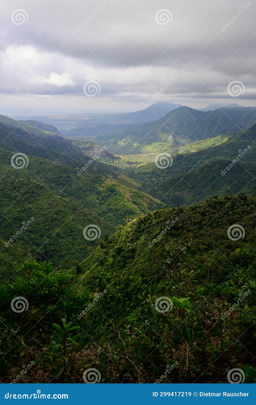 Black River Gorge Viewpoint in Mauritius Stock Image - Image of canyon ...