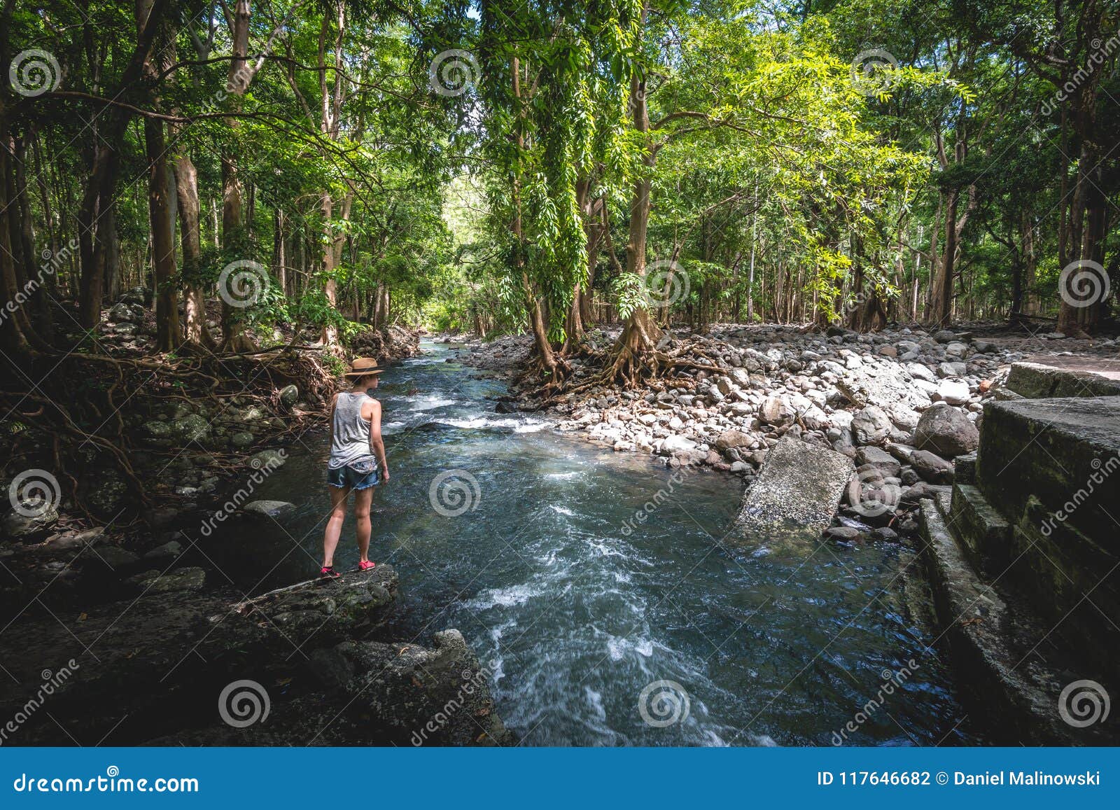 Black River stock photo. Image of nature, enjoy, travel - 117646682