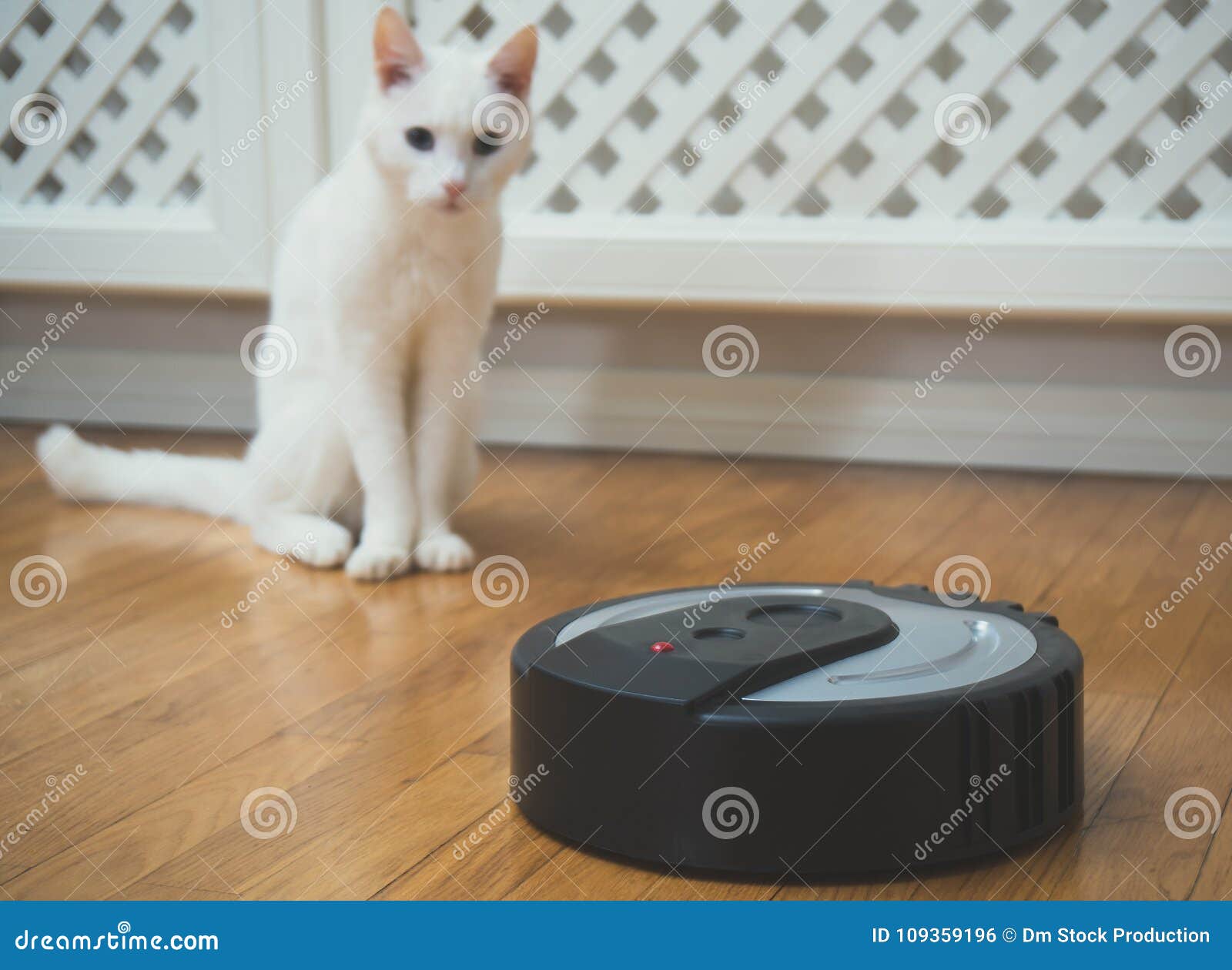 Vacuum Cleaner and White Cat. Stock Photo - Image of hygiene ...