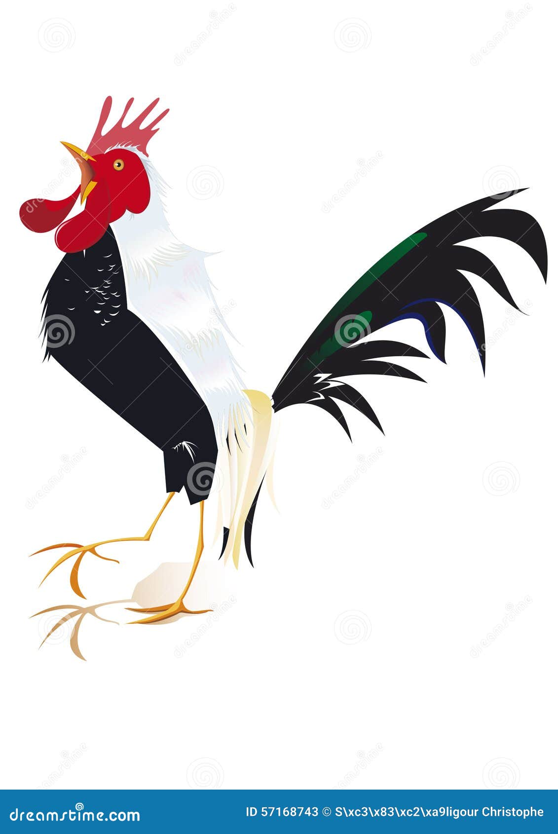 Black Rooster Cartoon Vector | CartoonDealer.com #57168743