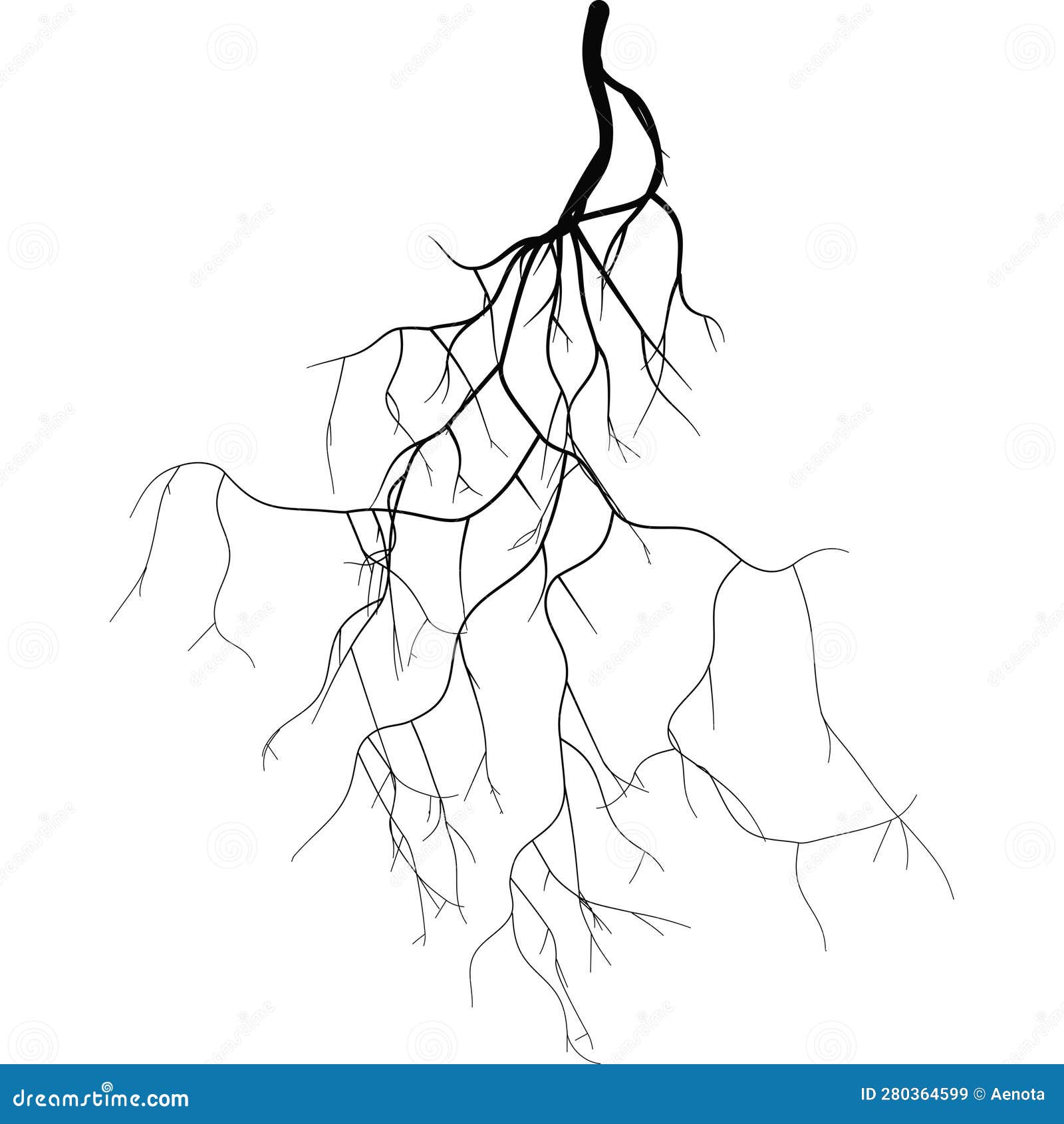Black Root System - Vector Set Stock Vector - Illustration of ramose ...