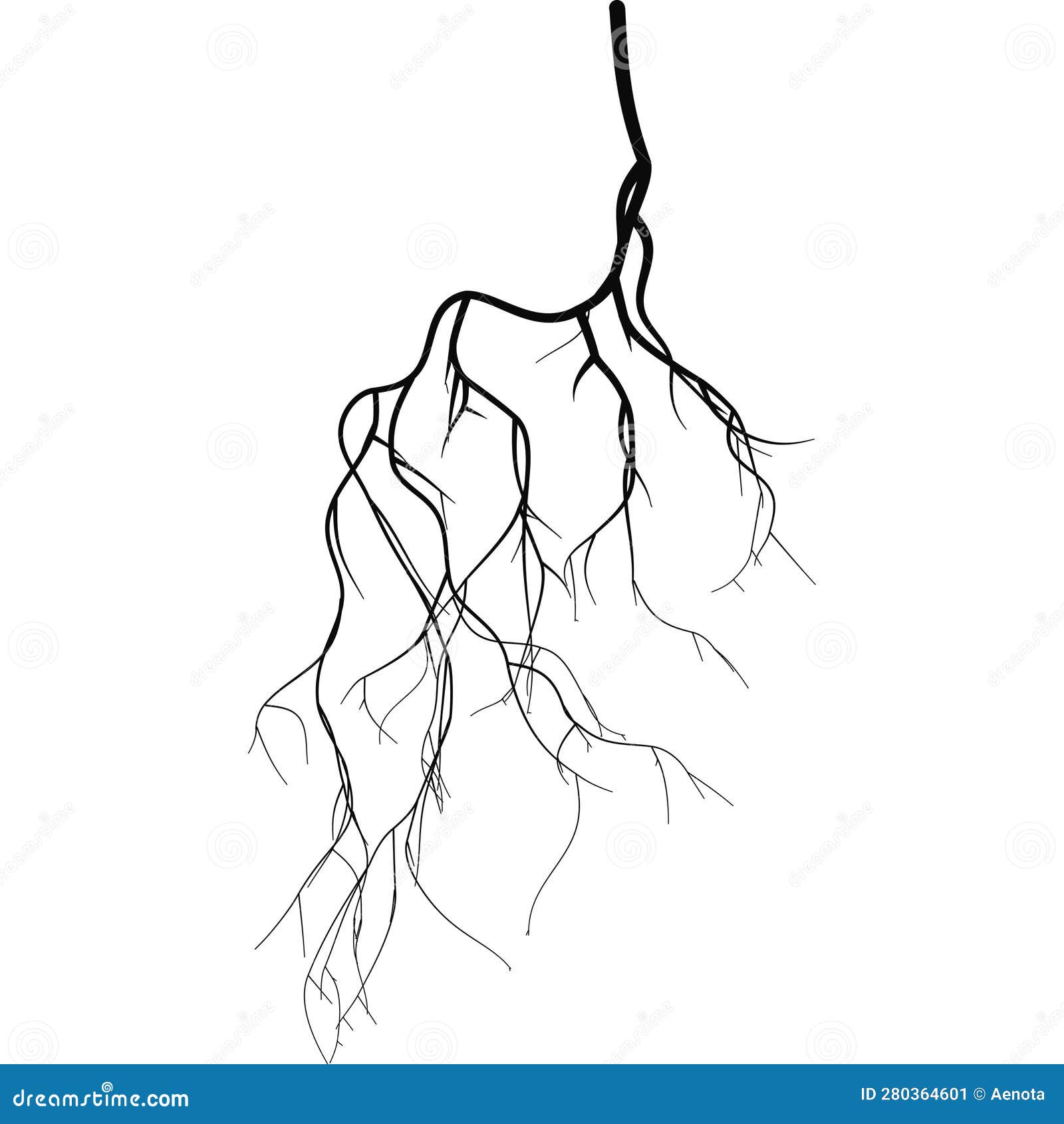 Black Root System - Vector Set Stock Vector - Illustration of white ...
