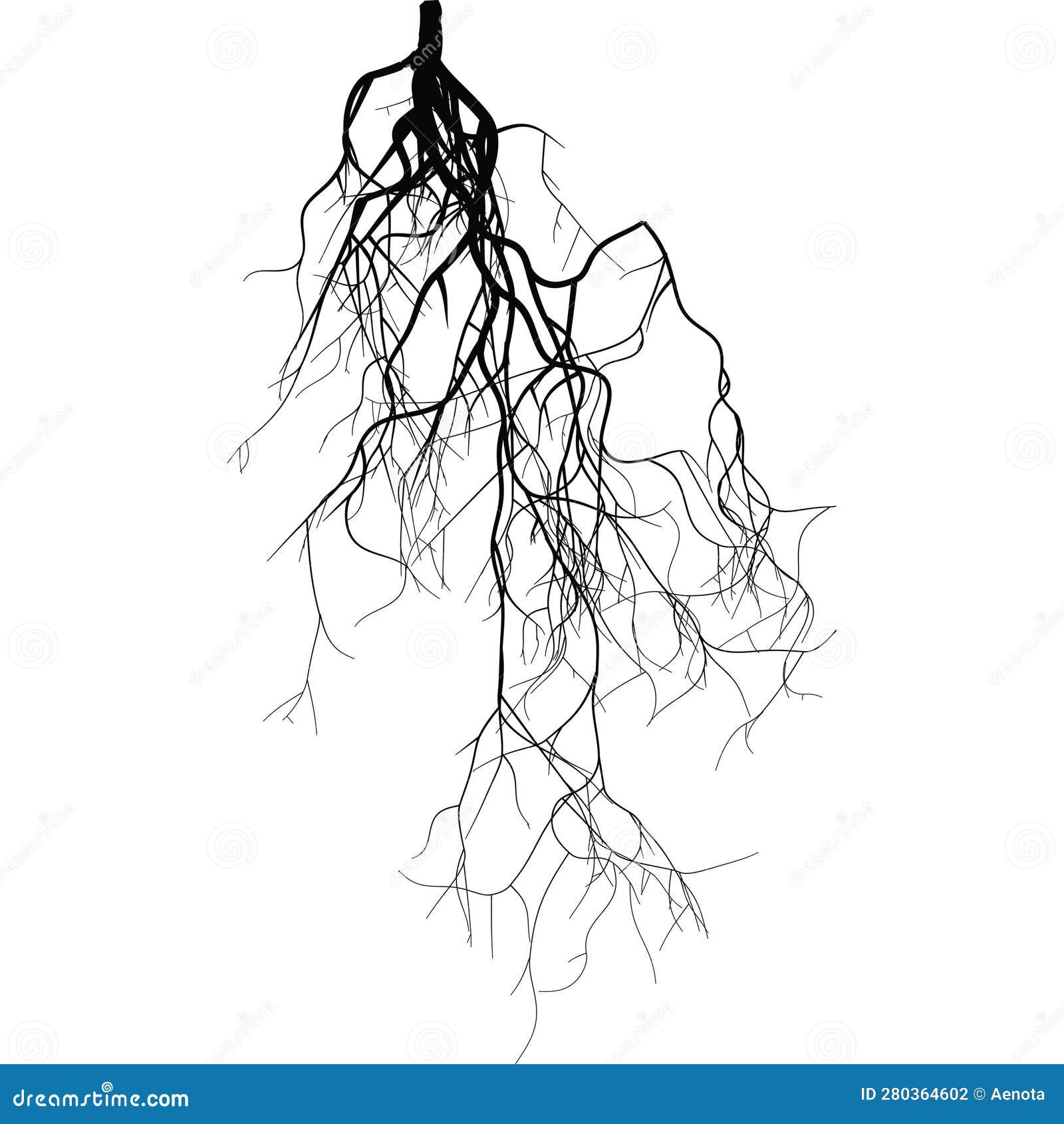 Black Root System - Vector Set Stock Vector - Illustration of ...