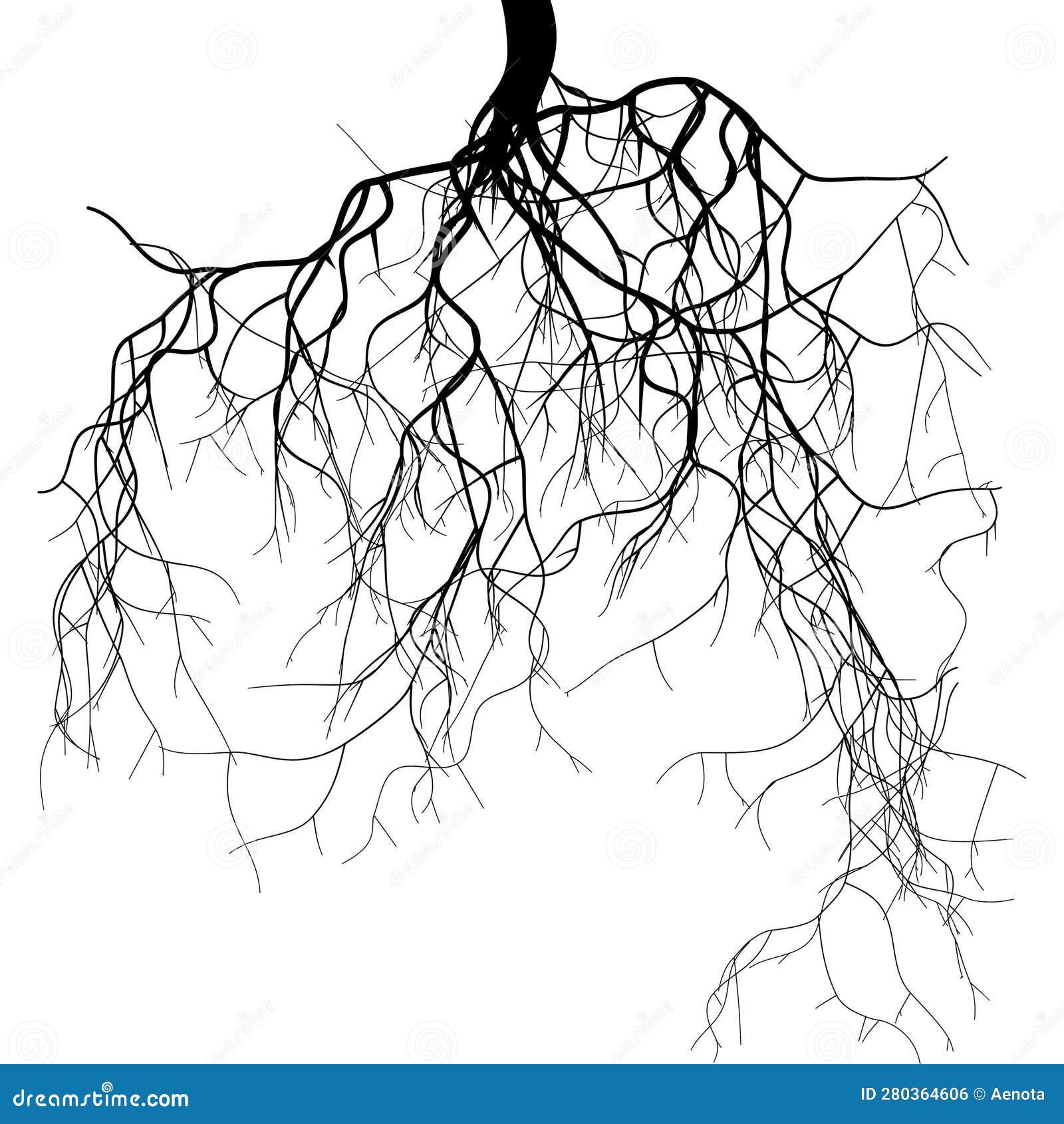 Black Root System - Vector Set Stock Vector - Illustration of taproot ...