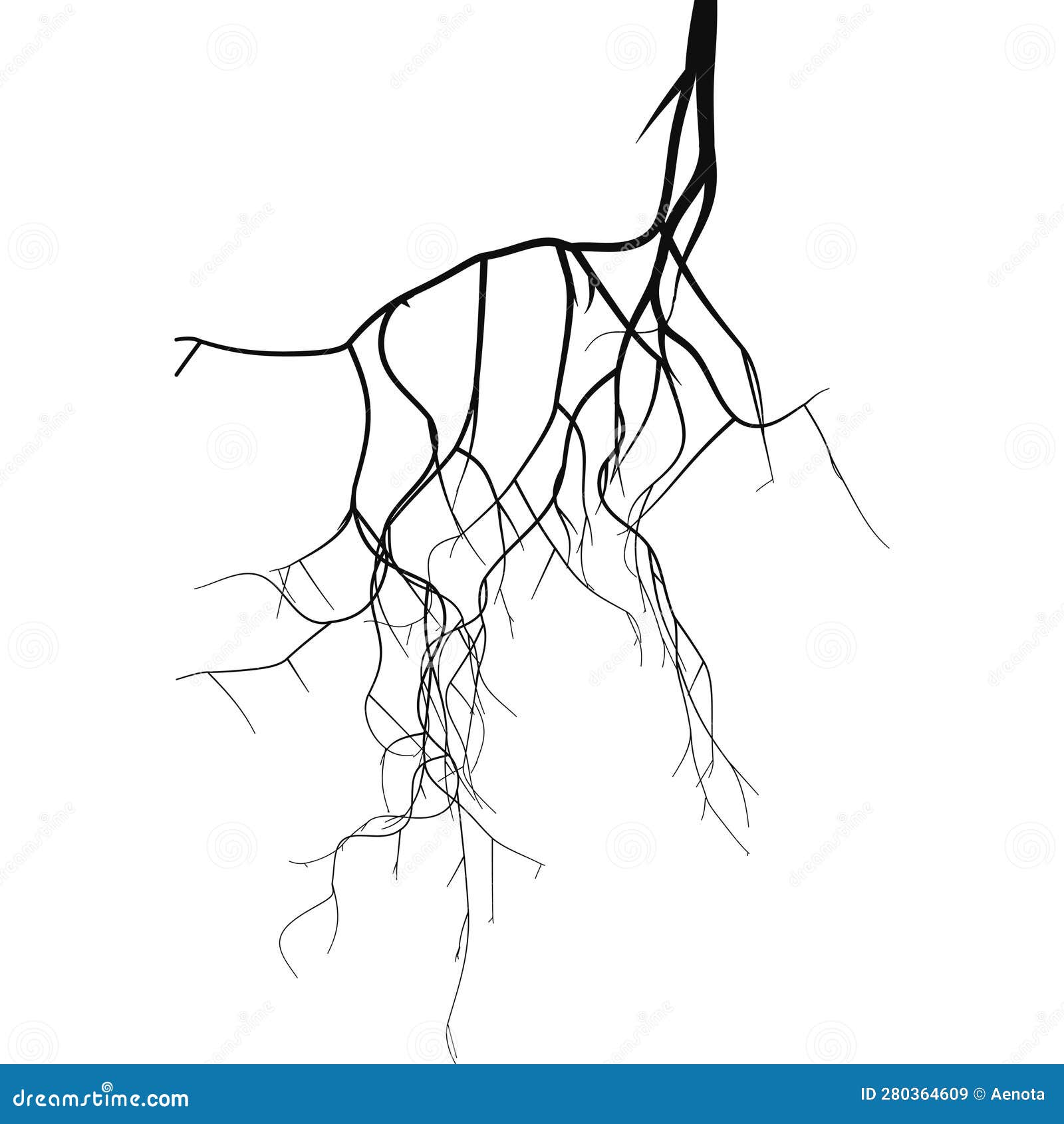 Black Root System - Vector Set Stock Vector - Illustration of sample ...
