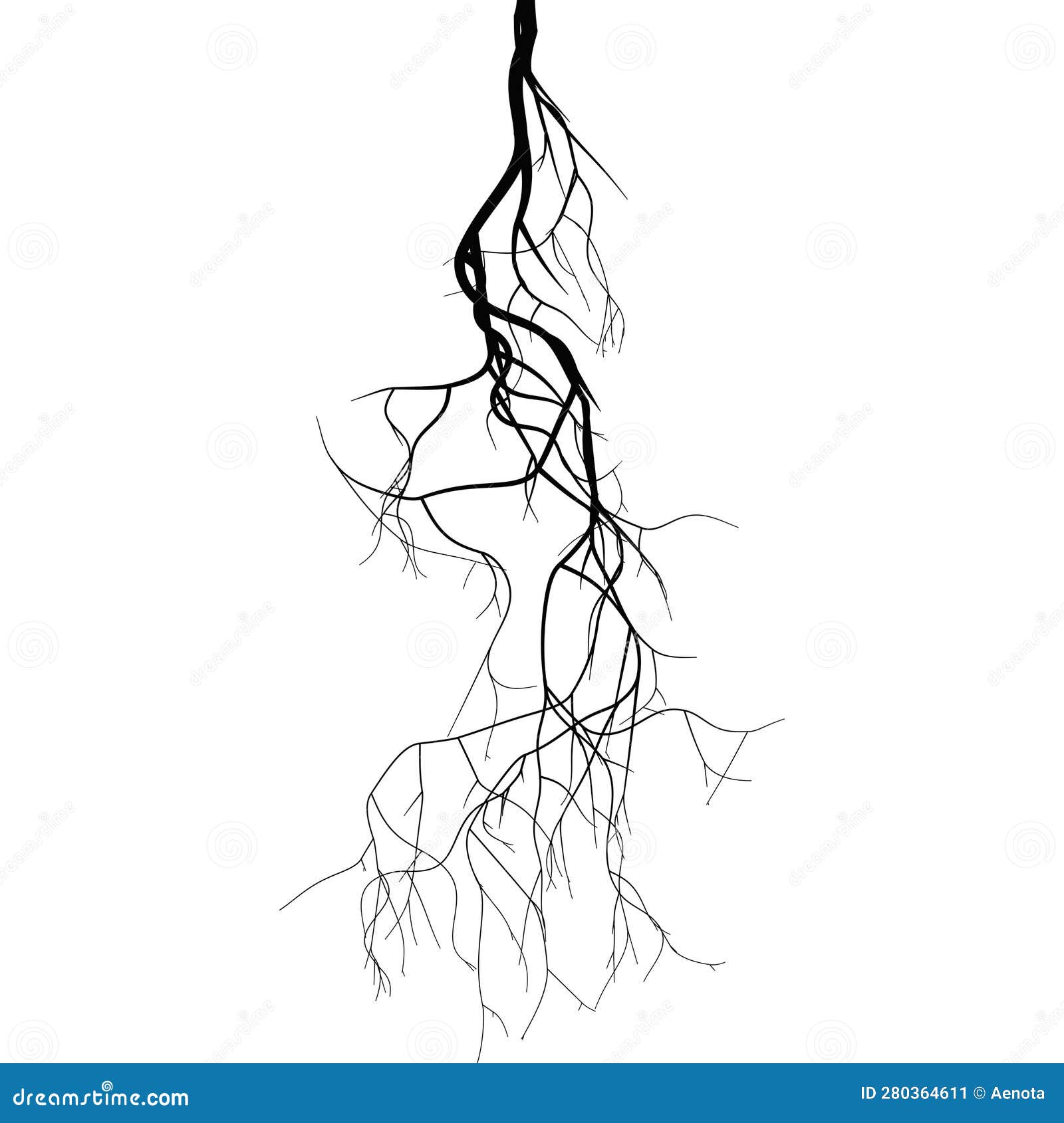Black Root System - Vector Set Stock Vector - Illustration of vector ...