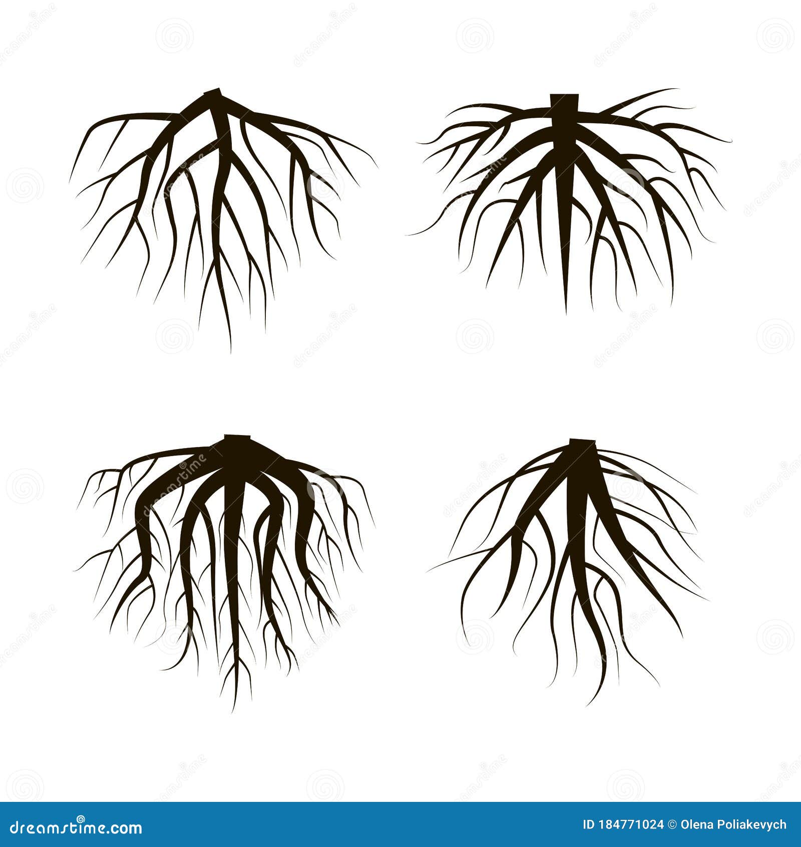 Black Roots of Different Shapes Stock Illustration - Illustration of ...