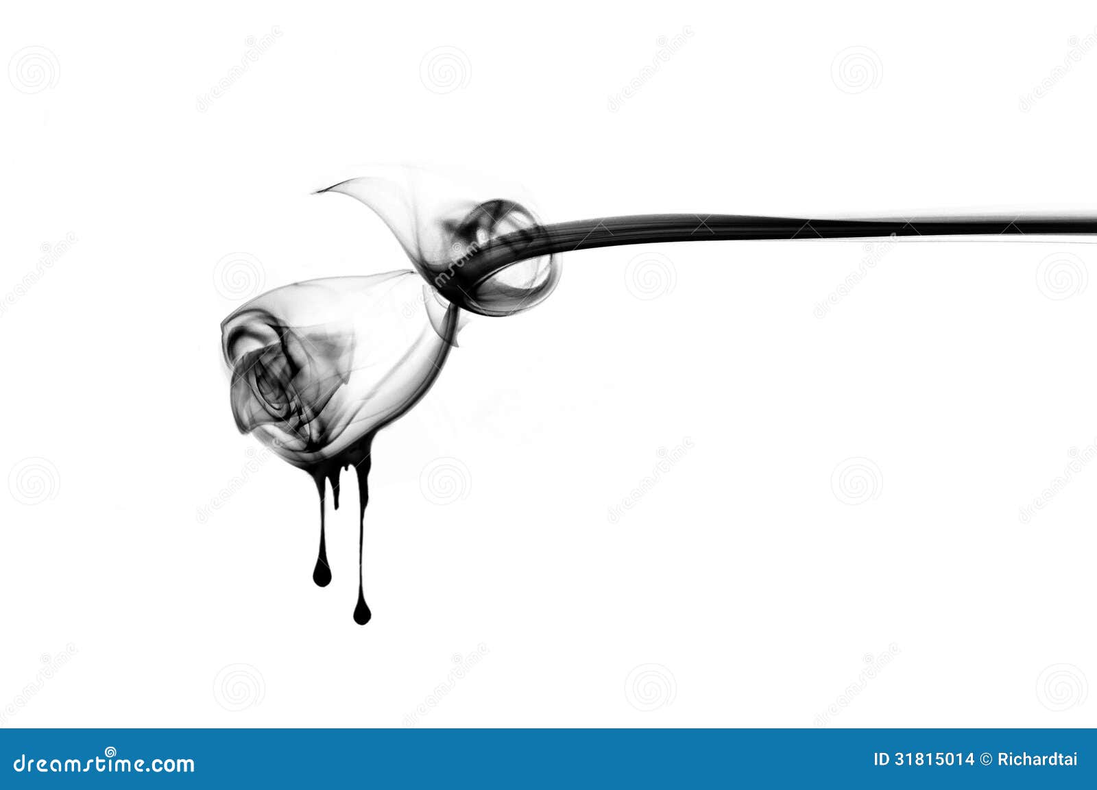 Black Rose stock photo. Image of burning, curve, concept - 31815014