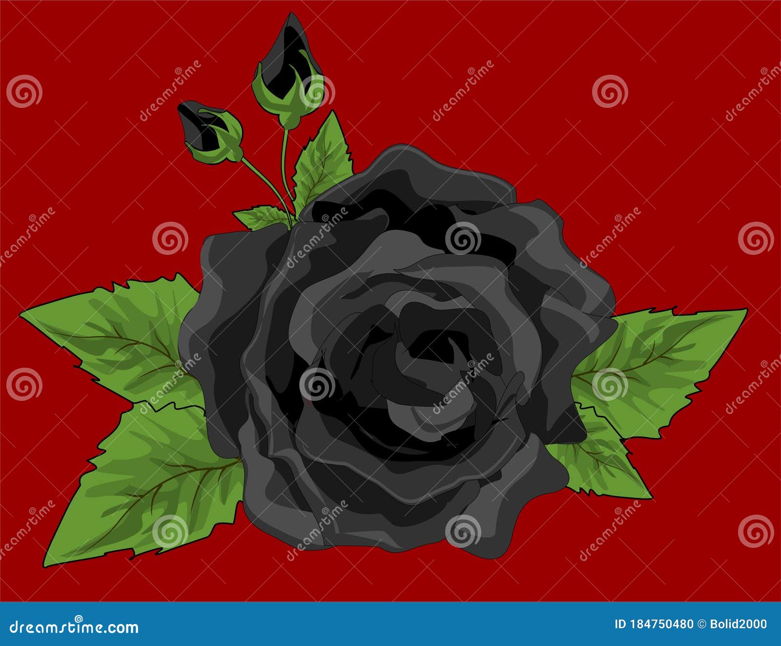 One black rose stock illustration. Illustration of gift - 184750480